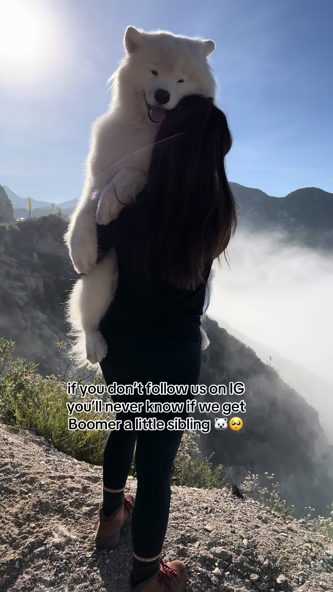 @ life.with.a.landcloud ️ you need to | Charishma + Boomer (@life.with ...