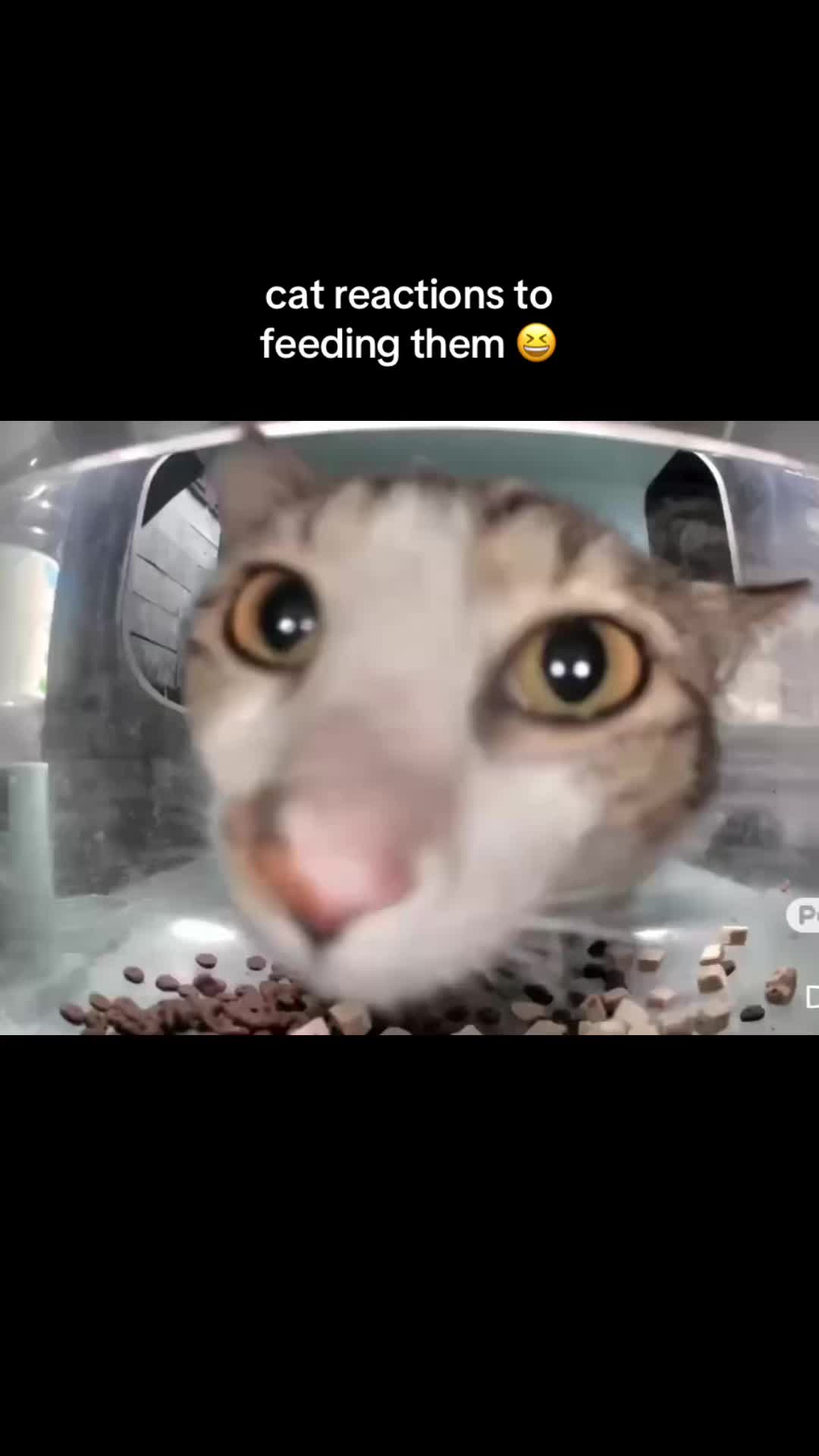 000? Never trusting @American Eagle | lil mace (@lil.macee)