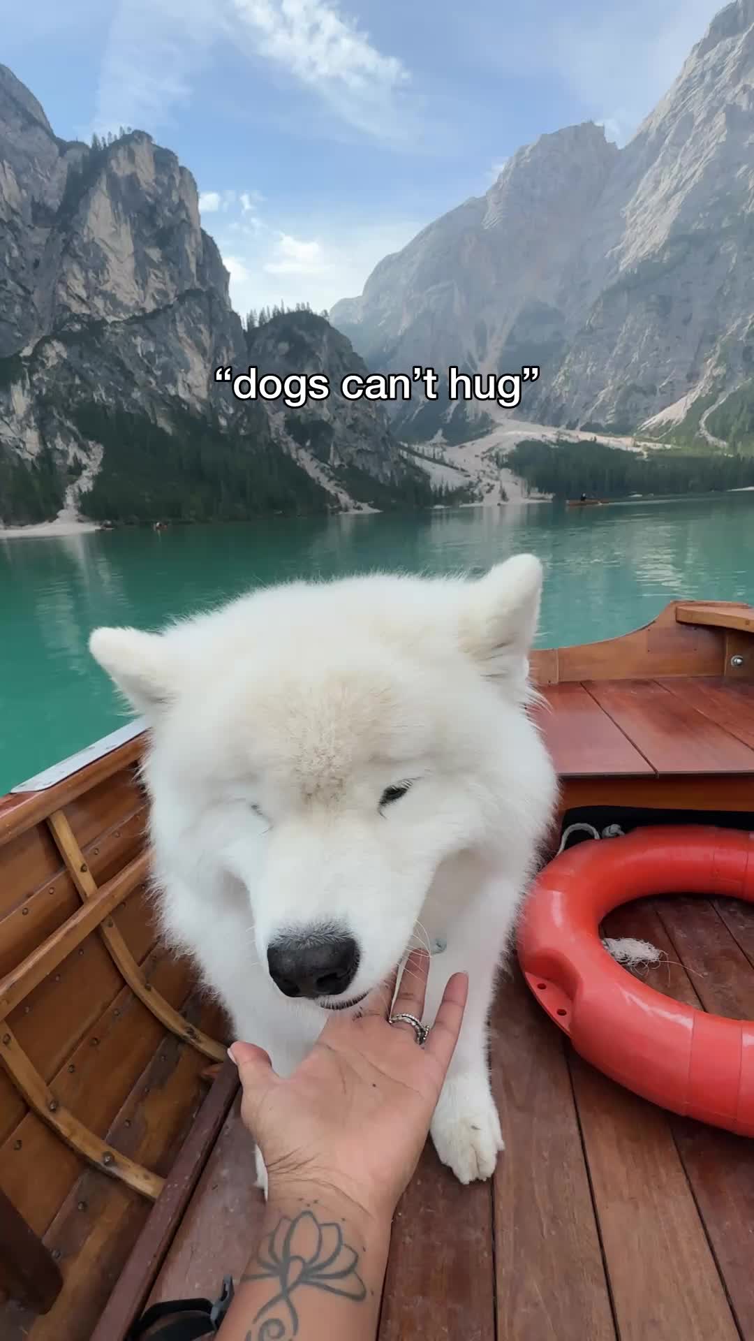 🦄 @life.with.a.landcloud - Charishma + Boomer - TikTok