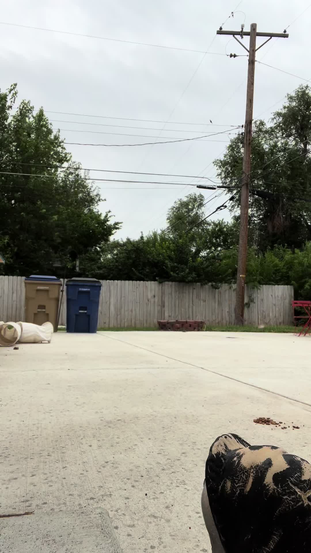 Freckled Spirit (@freckled_spirit) - Urlebird