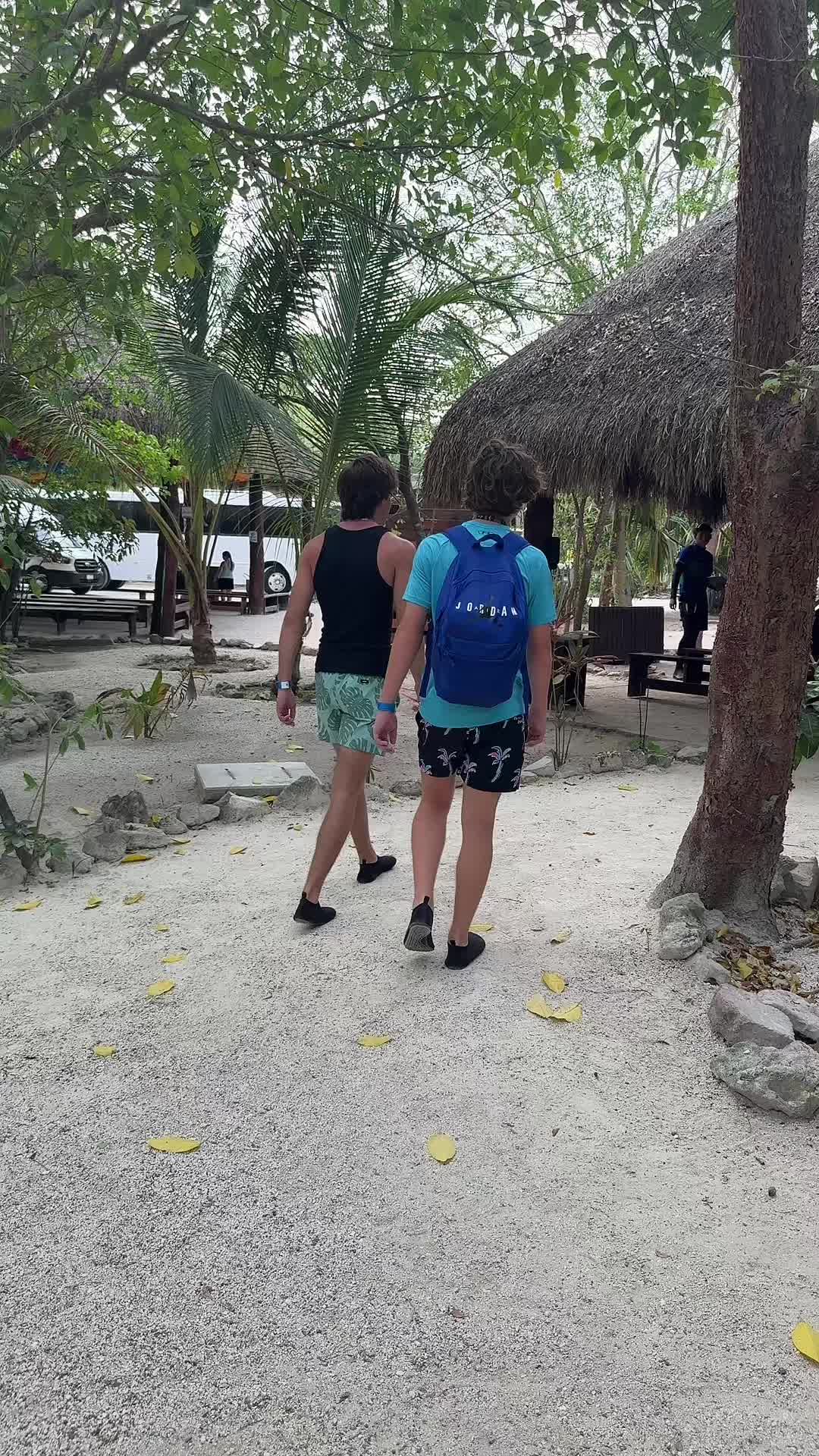 Best berry farm on donut smp with | vyn3tra (@vyn3tra)