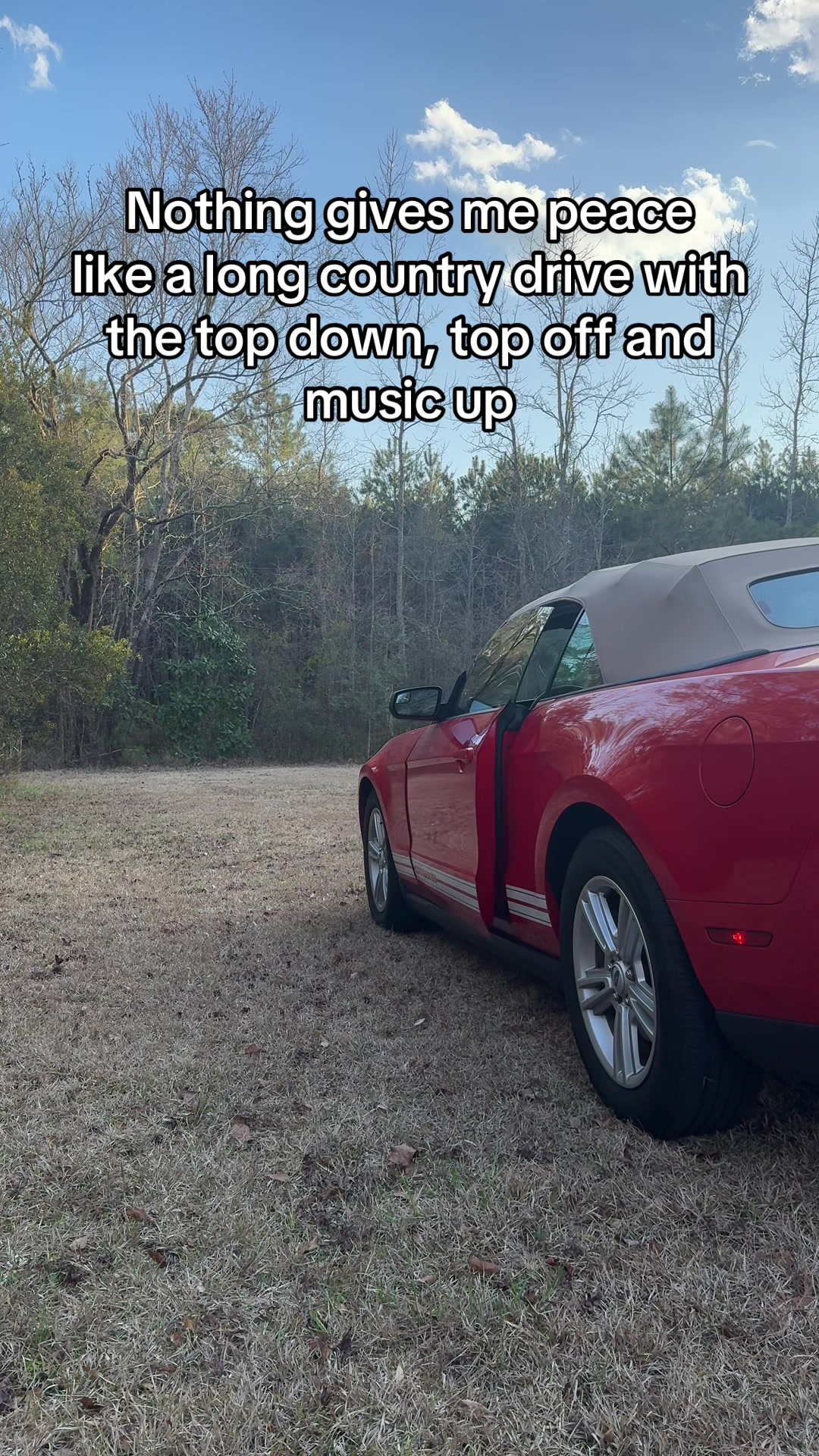 loreleifinds (@lorelei.finds) - Urlebird