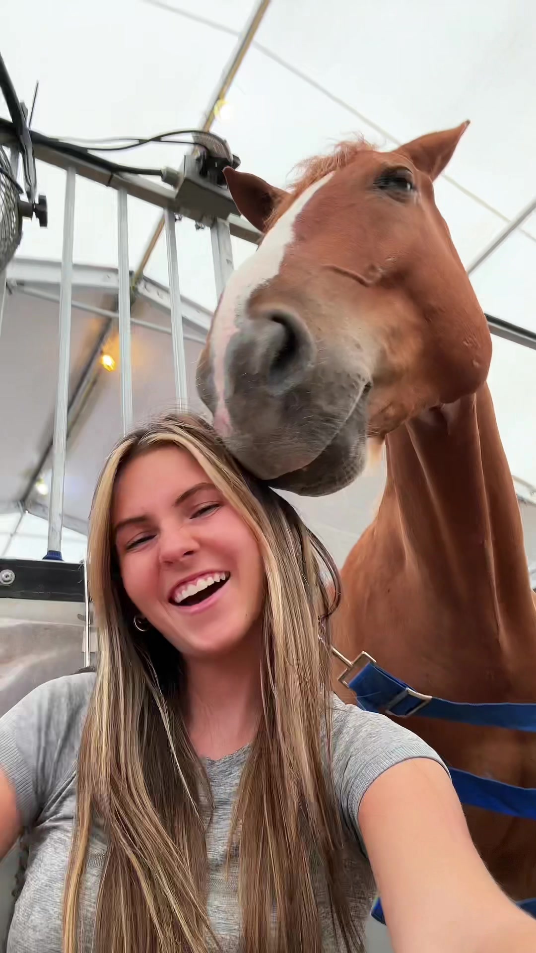 Lexi Smith (@itslexismith) - Urlebird