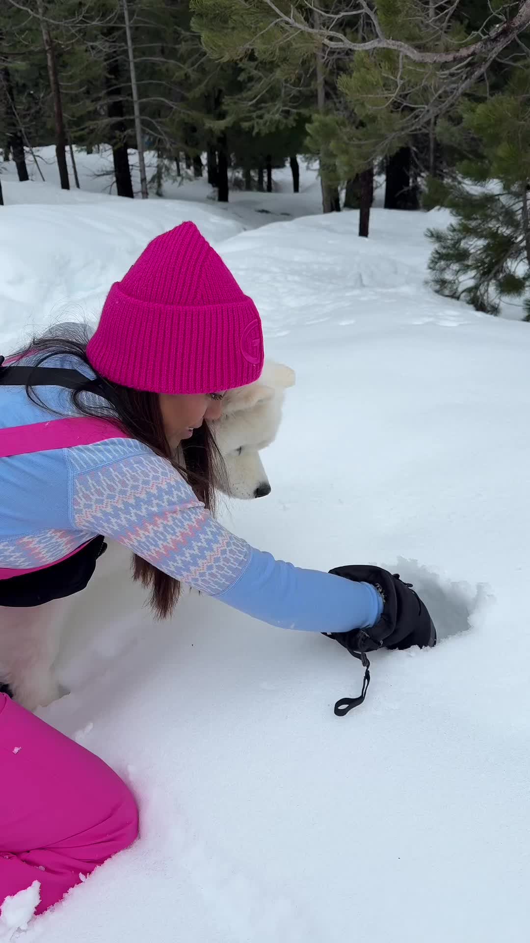 What do you think of the results?! #dog | Charishma + Boomer (@life ...