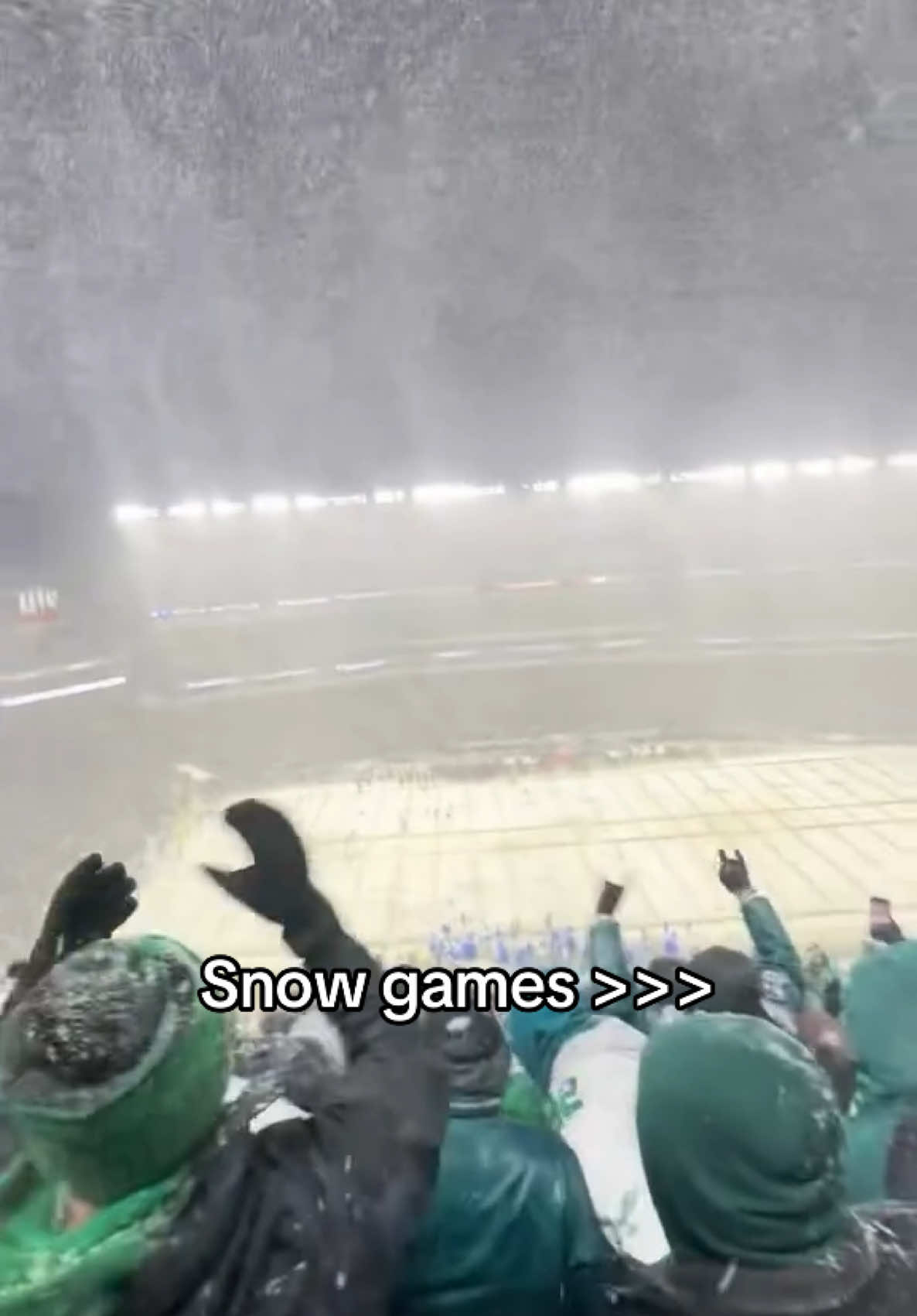 Stalking Sprout (Creepypasta | Rikko Natsuka (@rikosaikawa84)