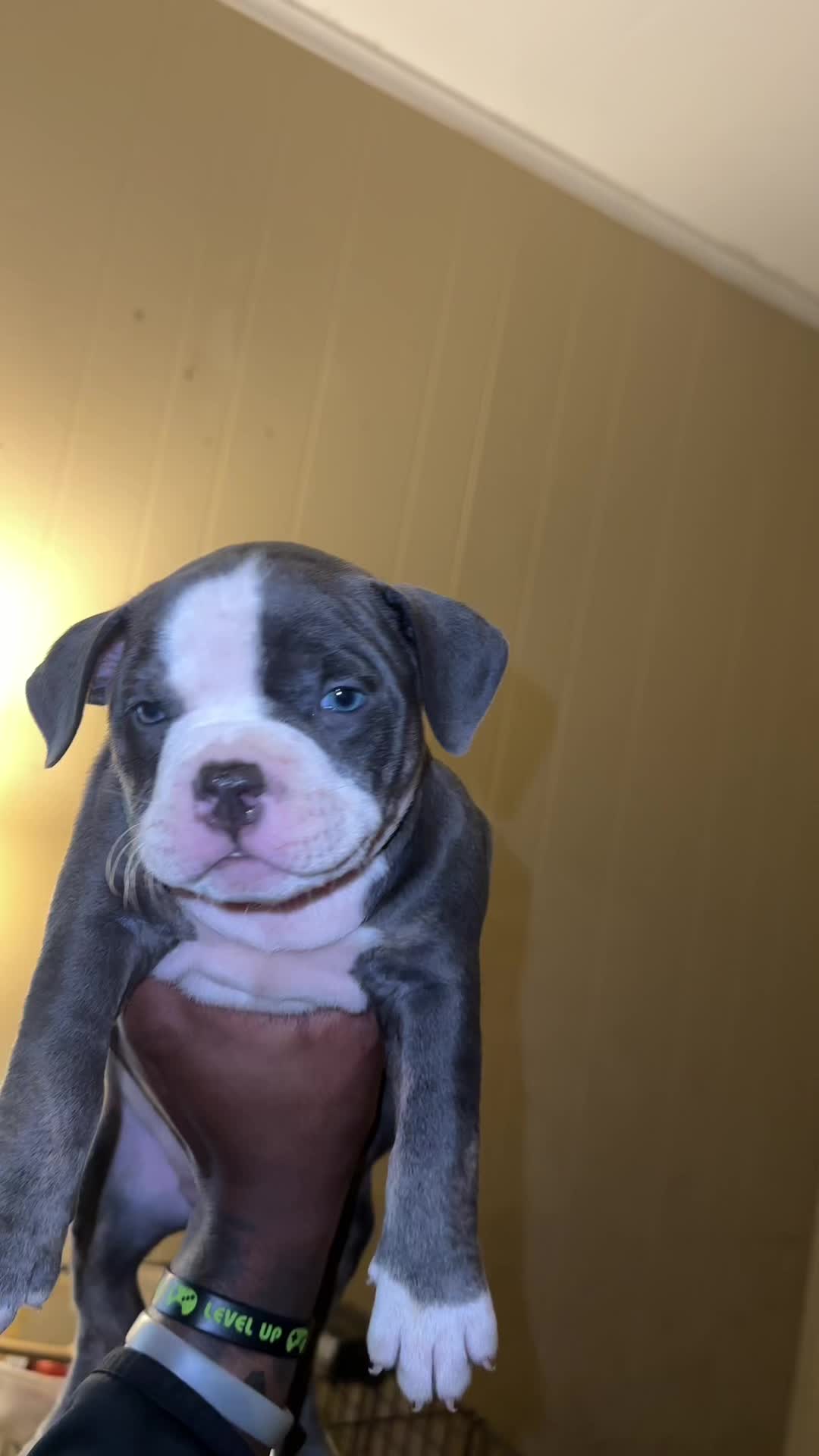 10.9K hearts, 531 shares | 👨‍🦲 (@chiri.francesca_)