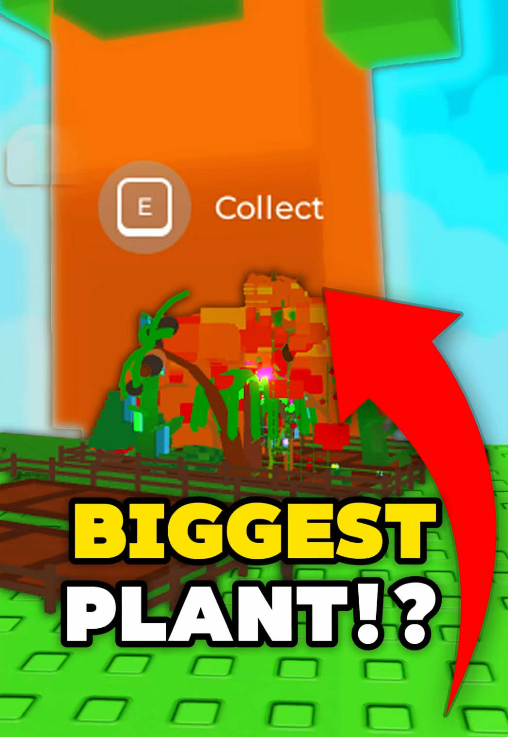 Tob tobi tob tobi tob🐪🌵 | Italian Brainrot Animals🦈 ...