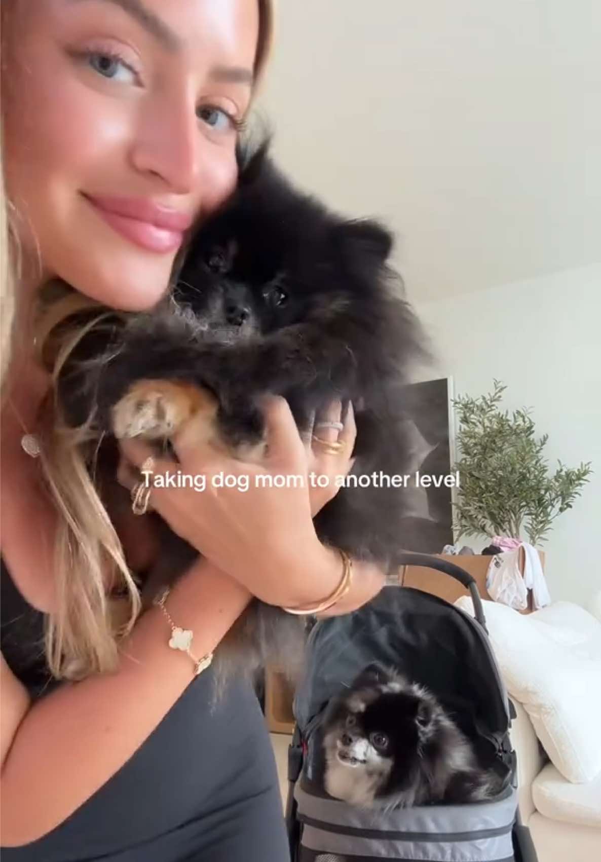 Like, just let me see your Pokémon card | Cheyenne Swenson (@csmodeling)