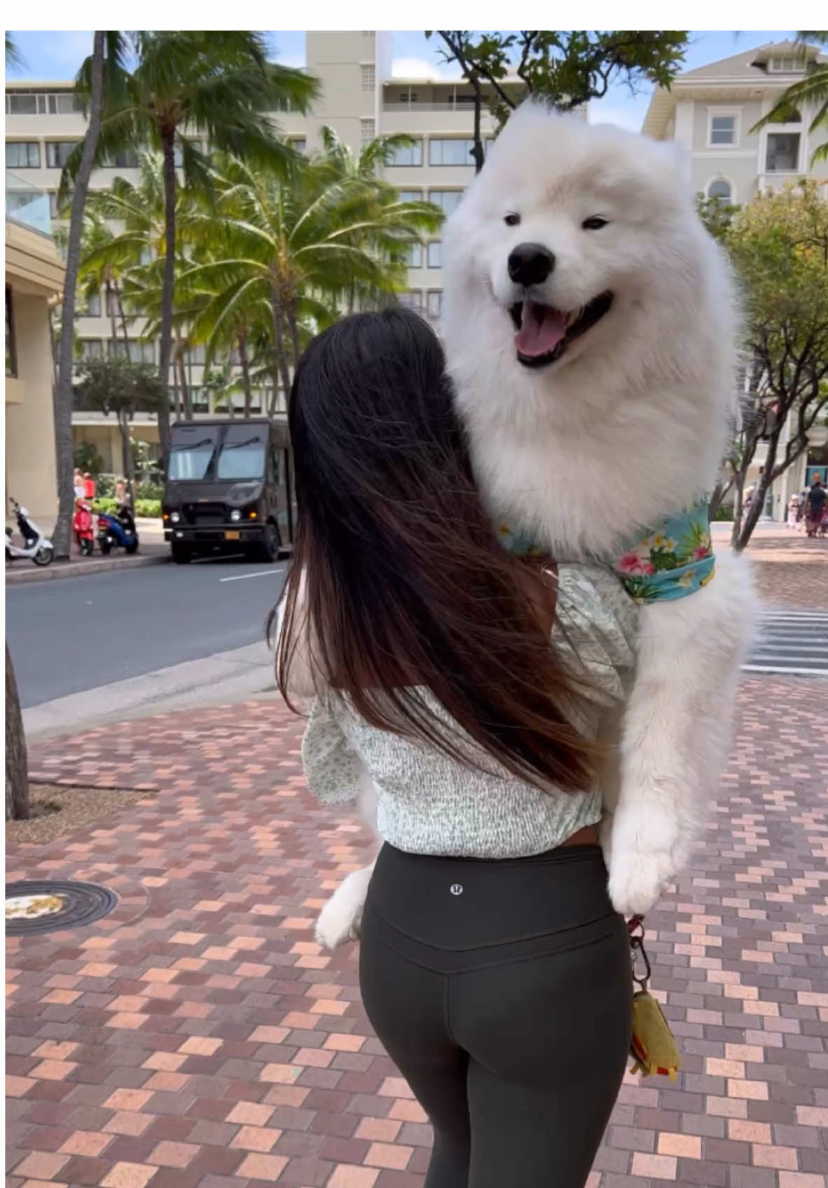 If only I could be so lucky 🥹💕 #dog | Charishma + Boomer (@life.with.a ...