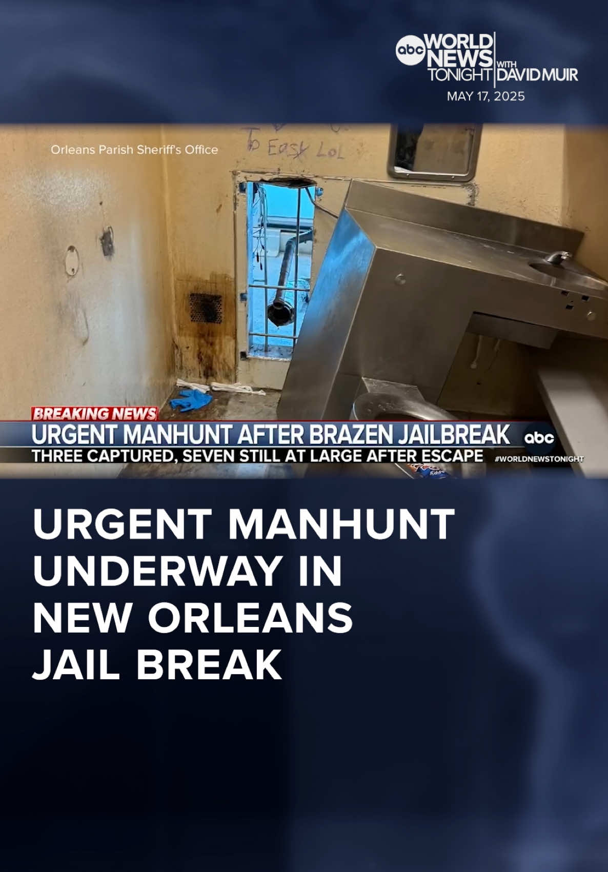 5.33K hearts, 536 shares | Angeli💫 (@lolorily)