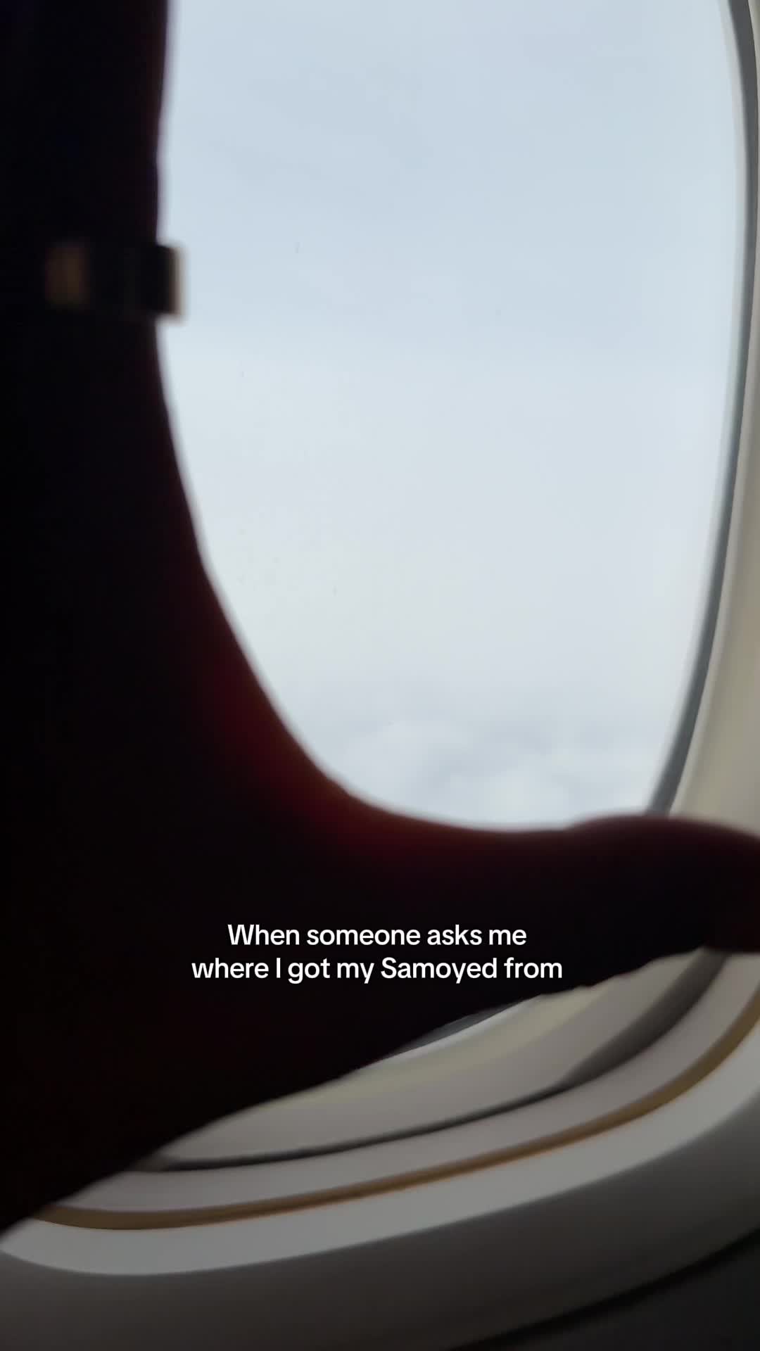 Charishma + Boomer (@life.with.a.landcloud) - Urlebird