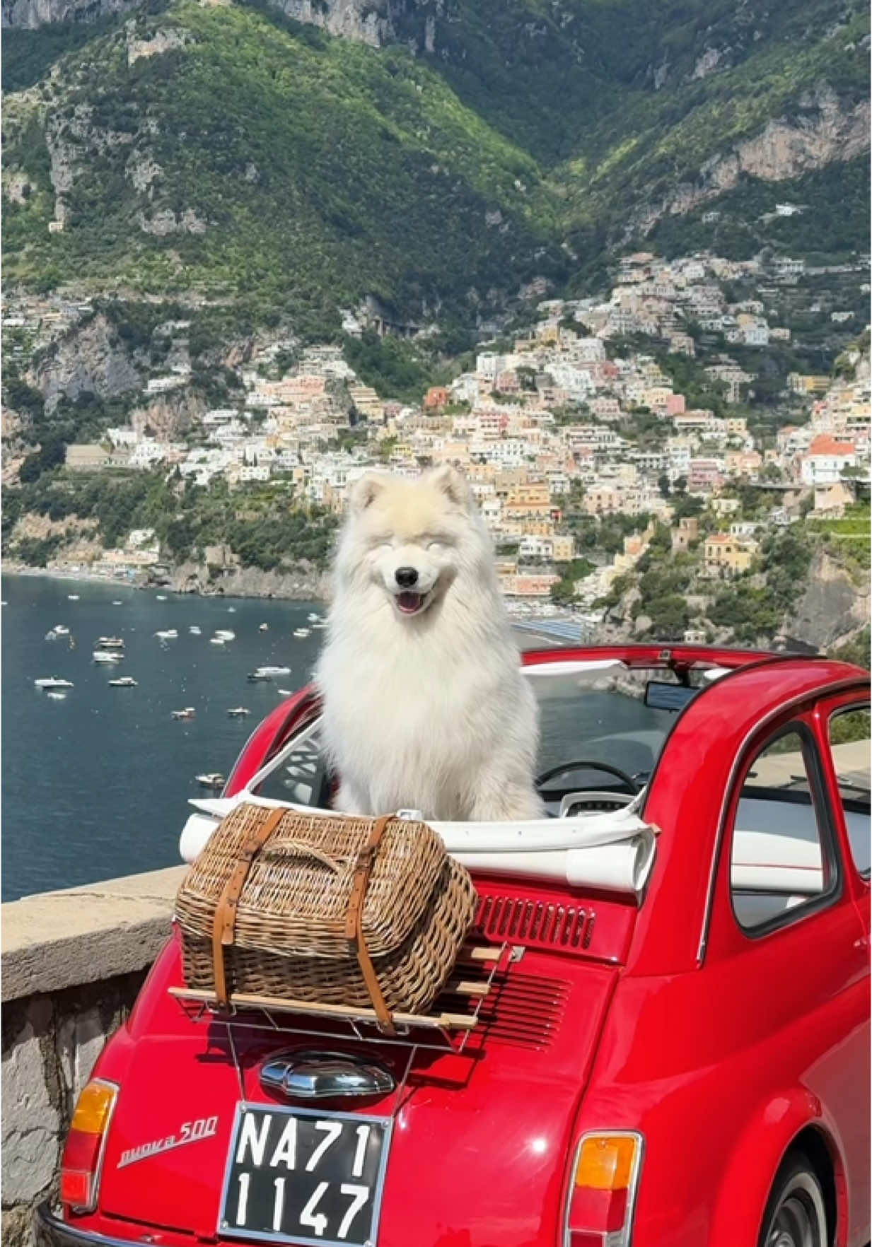 Charishma + Boomer (@life.with.a.landcloud) - Urlebird