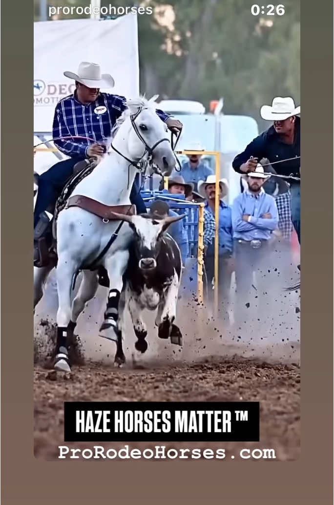 The weather’s got me smilin today | Eve (@.evesheehan)