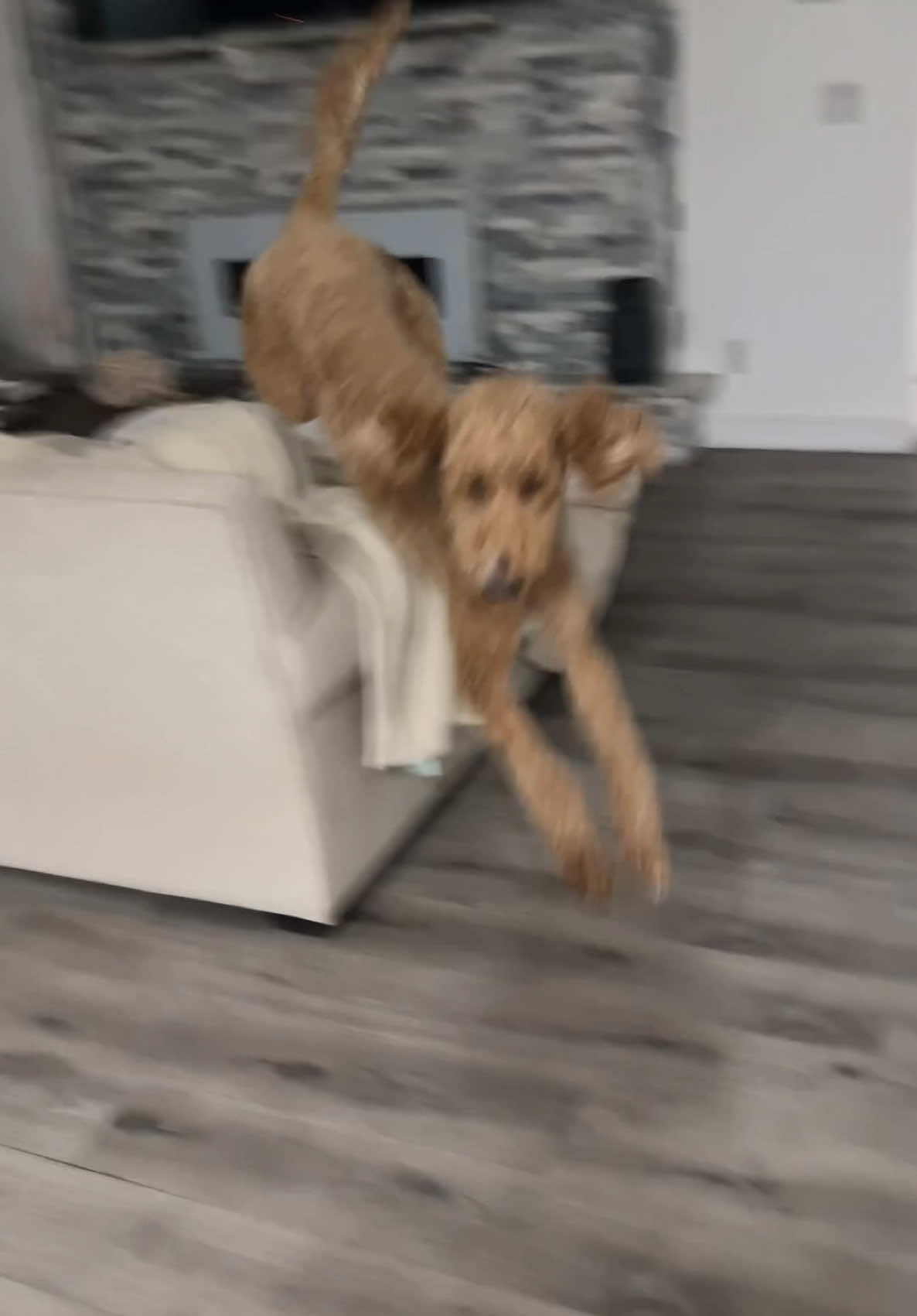 😇🤍💙 @Romy_gavriel ️ @Danielle gagin | romygavriel_love (@romygavriel_love)