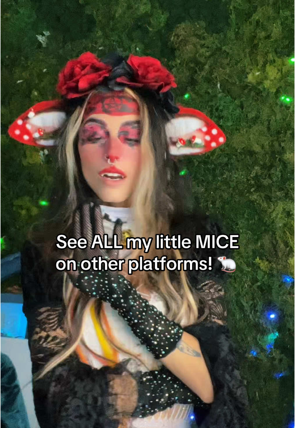 🦄 @obeymissfaye - MISS FAYE - TikTok