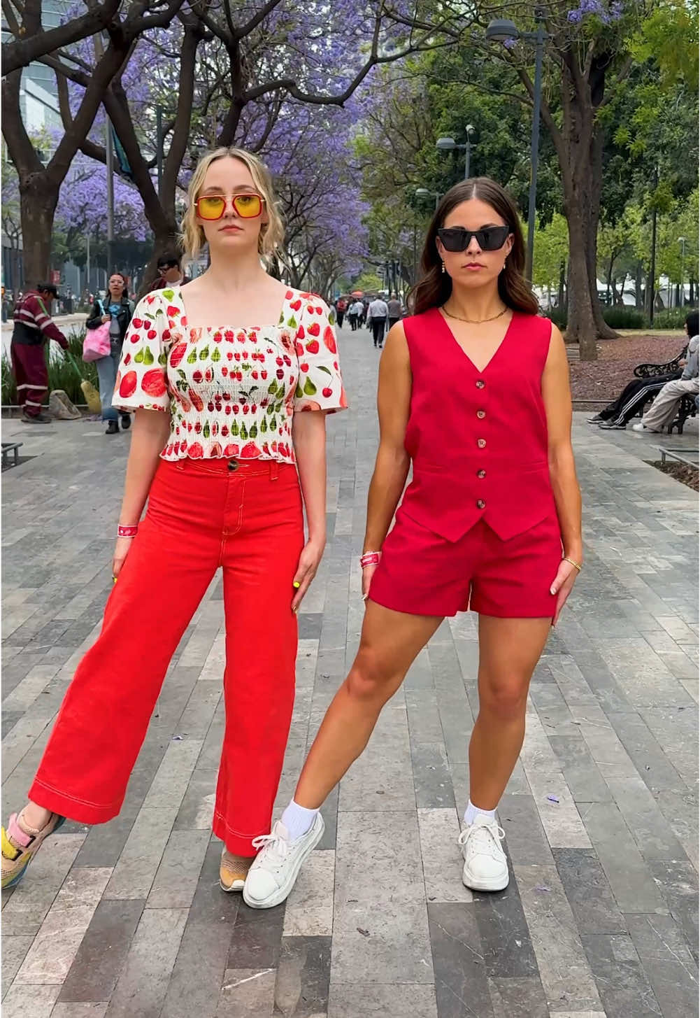 Vanlife mit Bestbuddy #chihuahua | Linda Lanu (@linda.lanu)