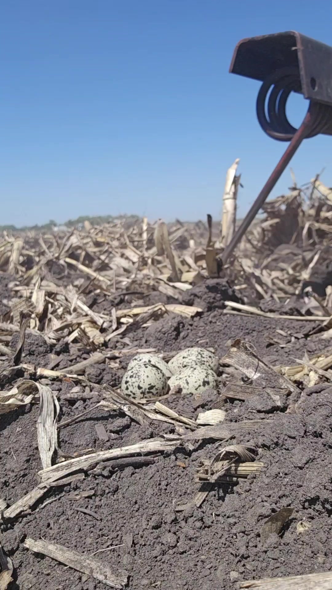 i can promise the next pass will miss | Aaron aka denner (@farmin_in_eden)