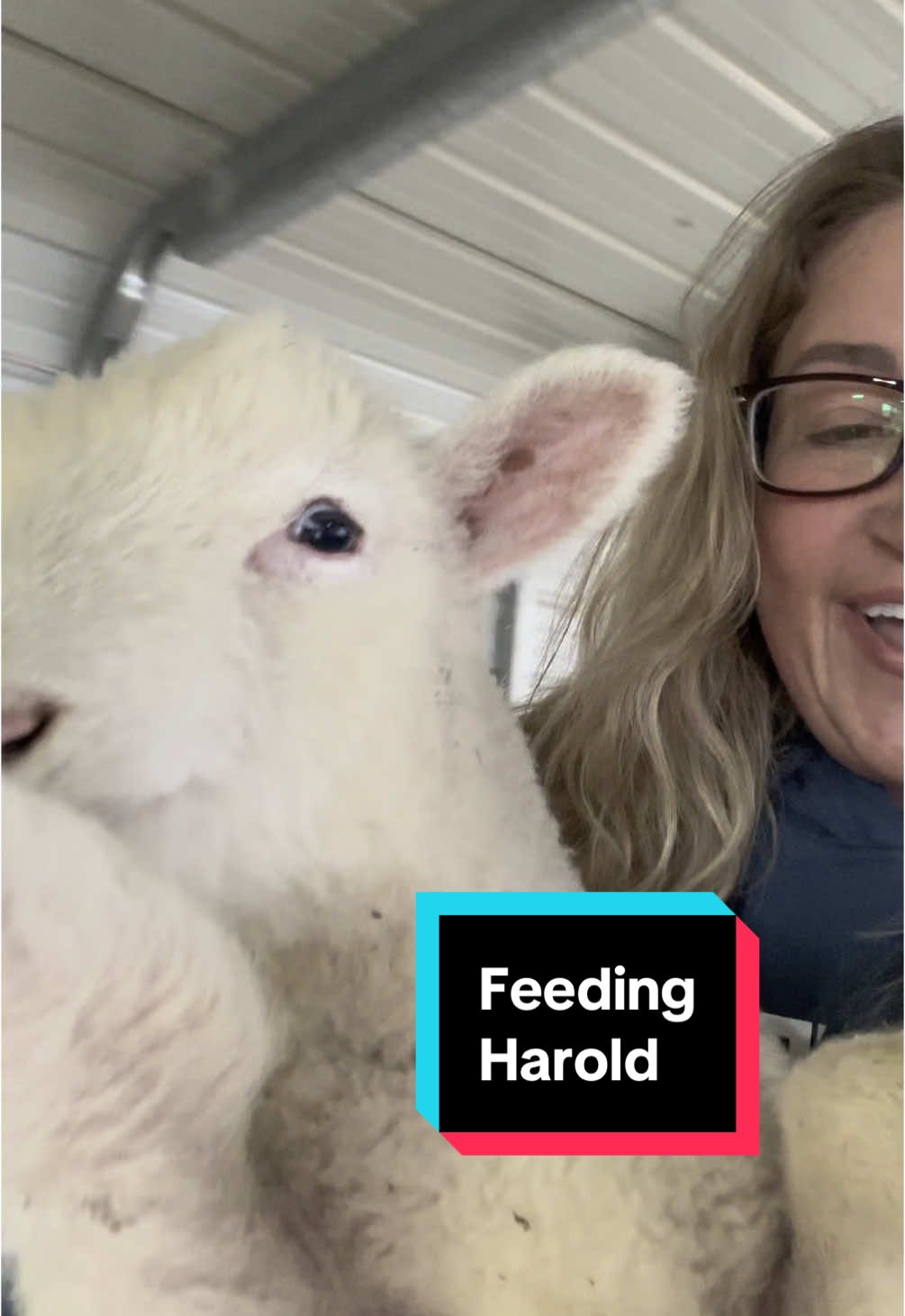 A moment for the dress🤭 | Seerahb (@seerahb2)