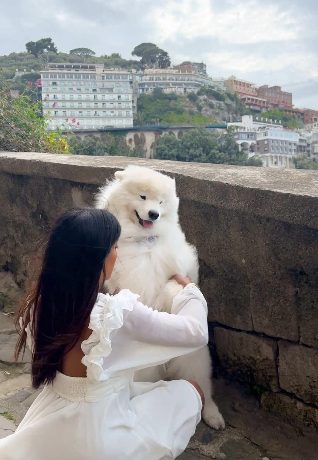 Boomer enjoying a good view is the | Charishma + Boomer (@life.with.a ...