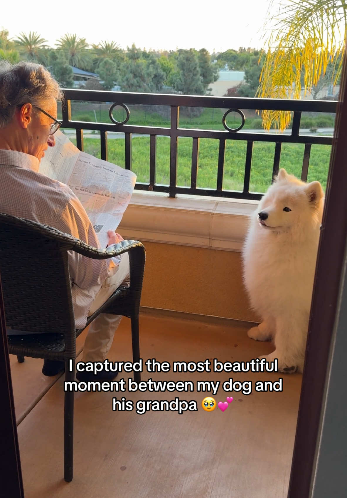 🦄 @life.with.a.landcloud - Charishma + Boomer - TikTok