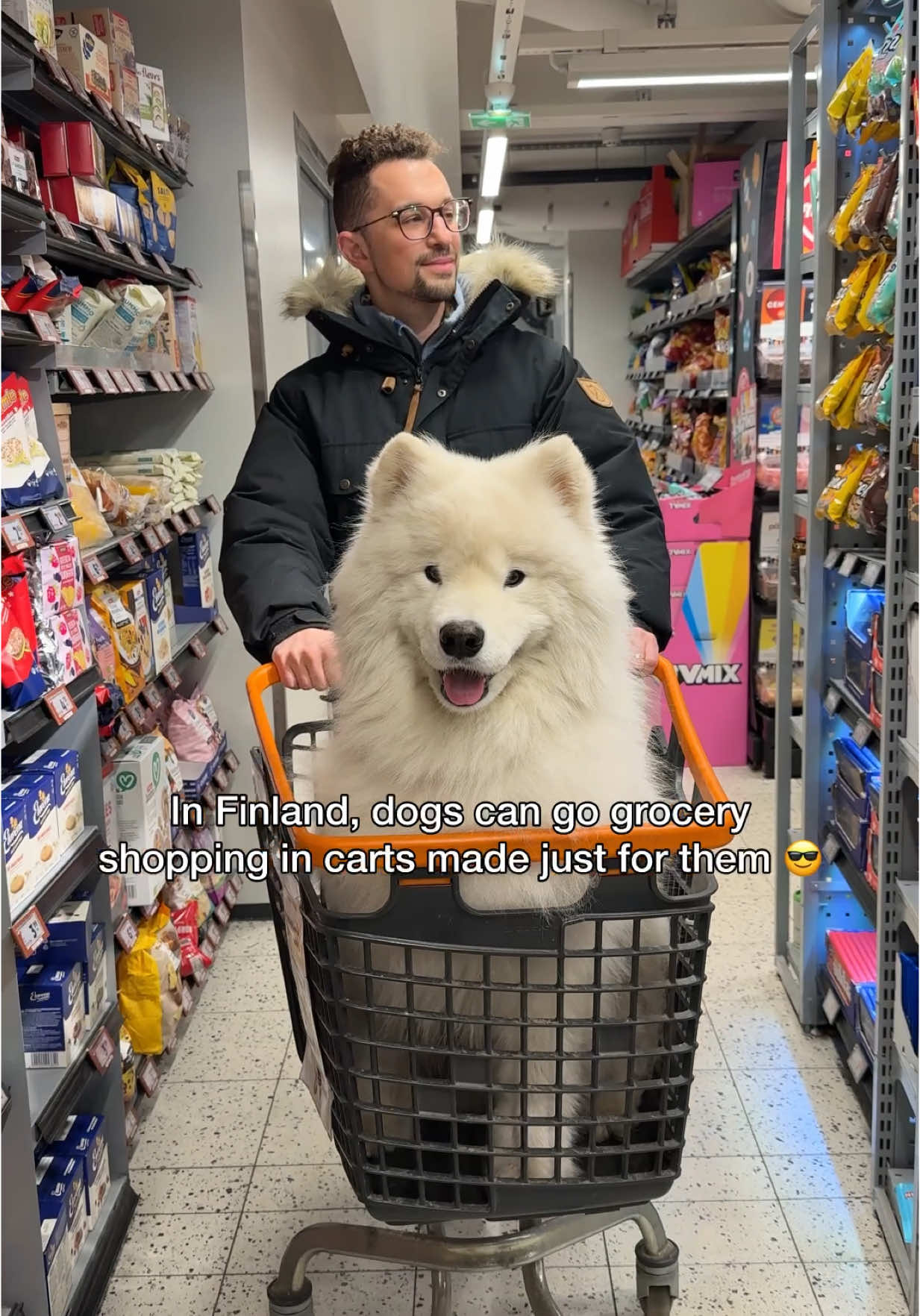 Finnish dogs are living in the future | Charishma + Boomer (@life.with ...