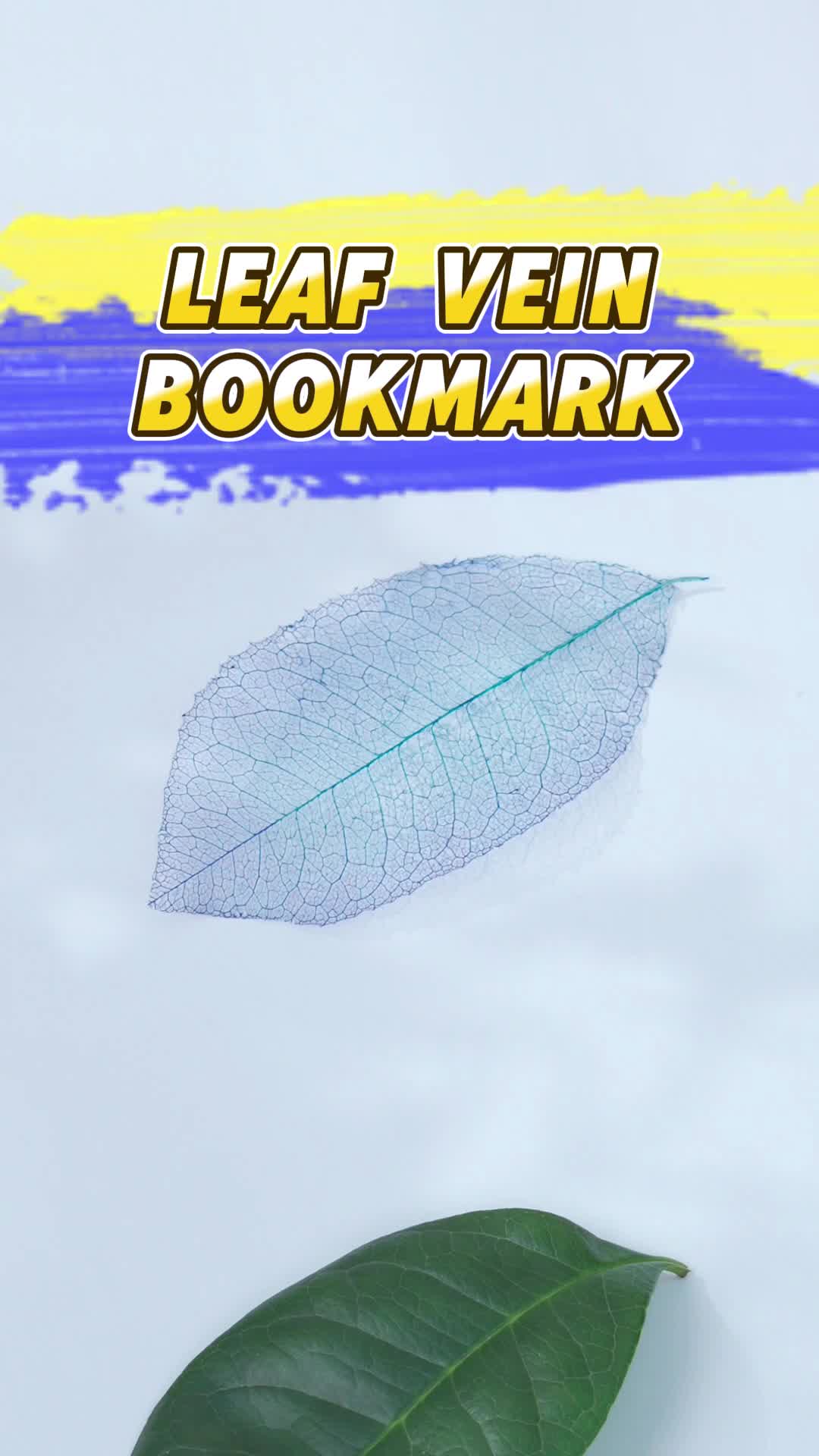 Miwu Science (@miwuscience) - Urlebird