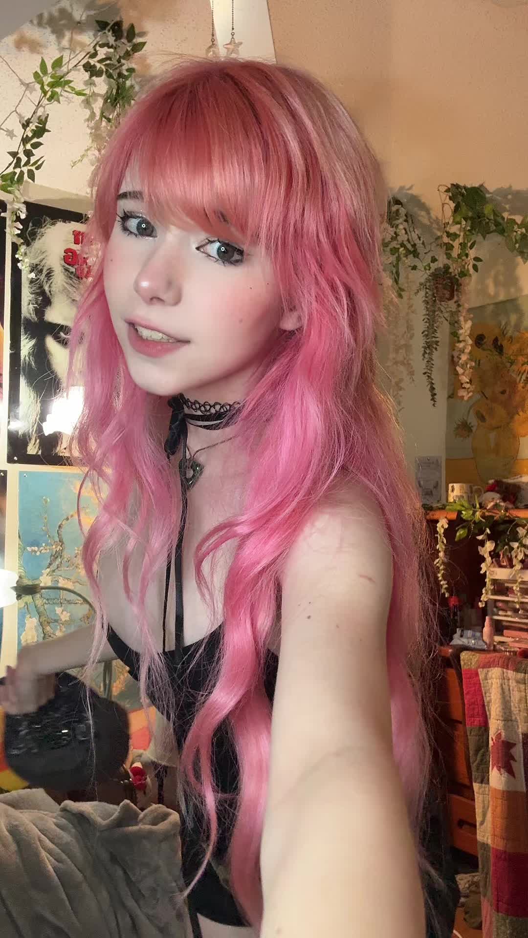 ash🐝 (@ashisbees) - Urlebird