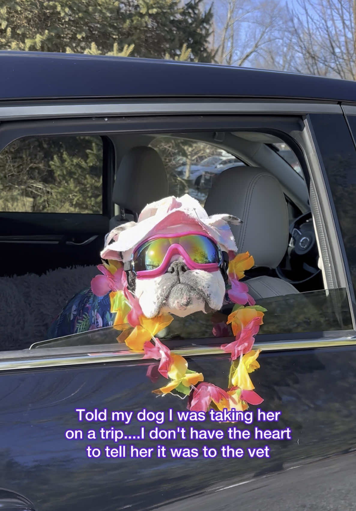 Me and Gym 🤝🏼 | Lilith Cavaliere (@itsjustliloriginal)