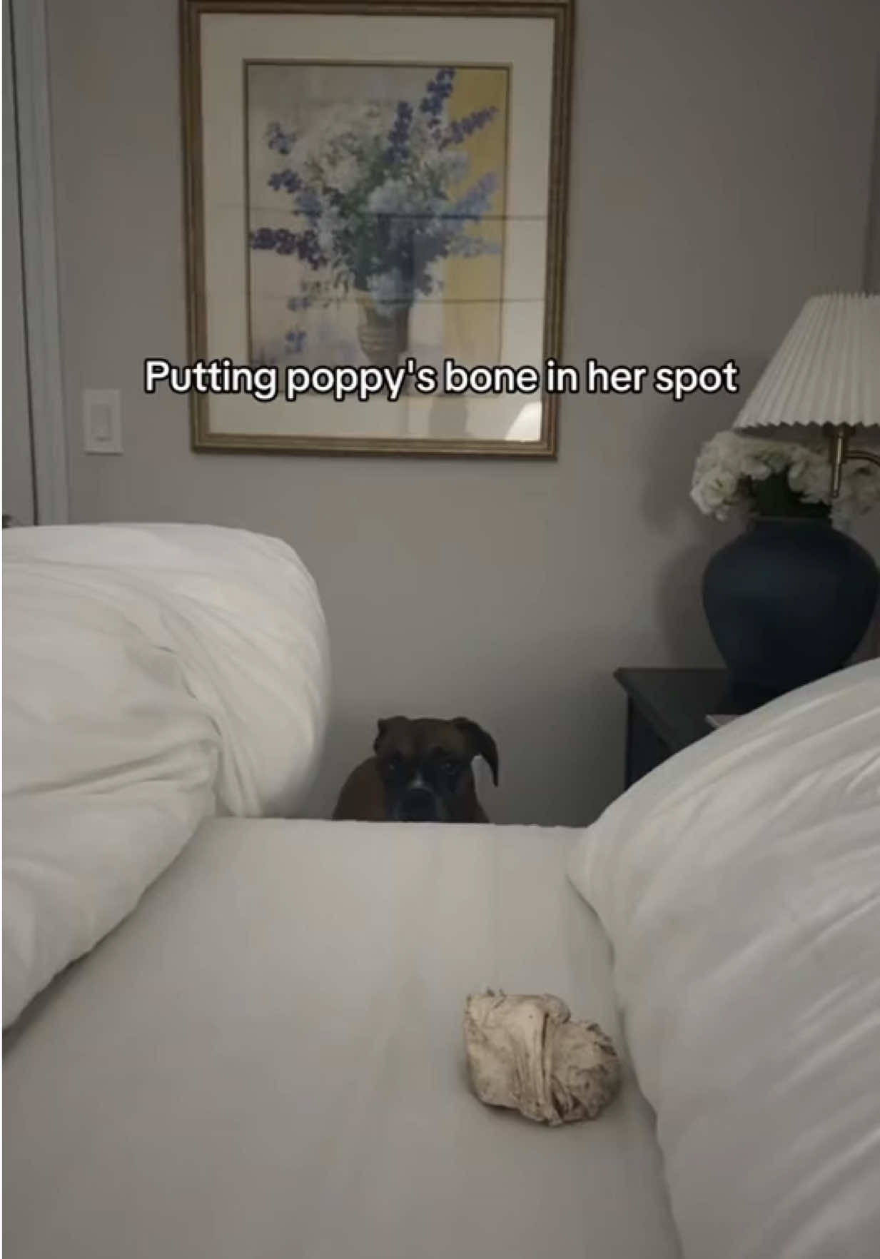 Very much packed all of these for my | Anna renn💋🇪🇹 (@annarennsworld)