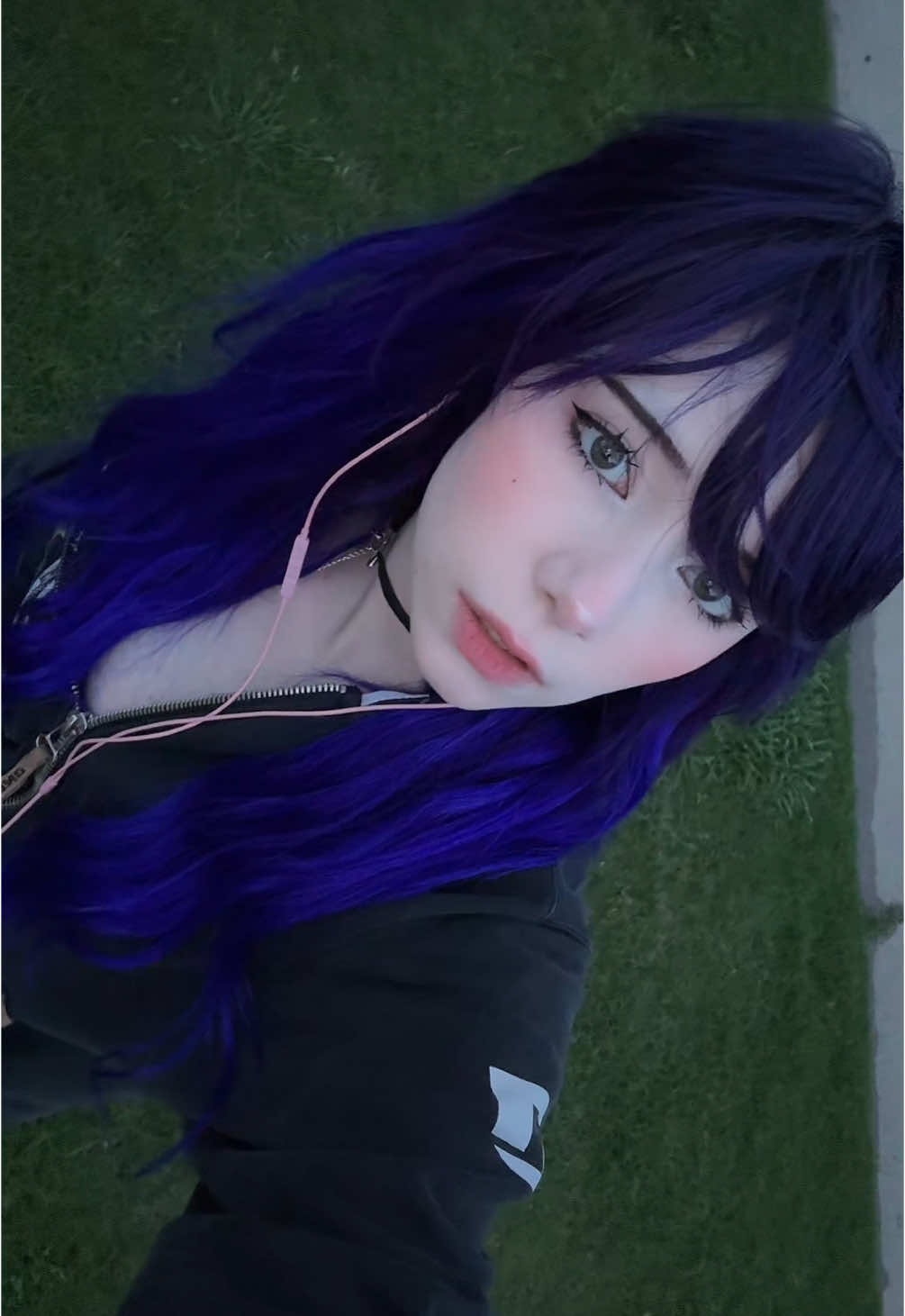 ash🐝 (@ashisbees) - Urlebird