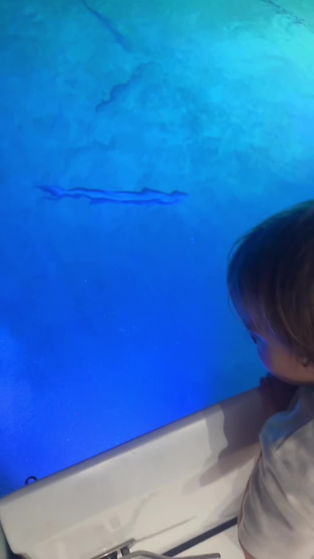 RUSH E (EASY Roblox/Virtual Piano | VirtualPianoSheets ...