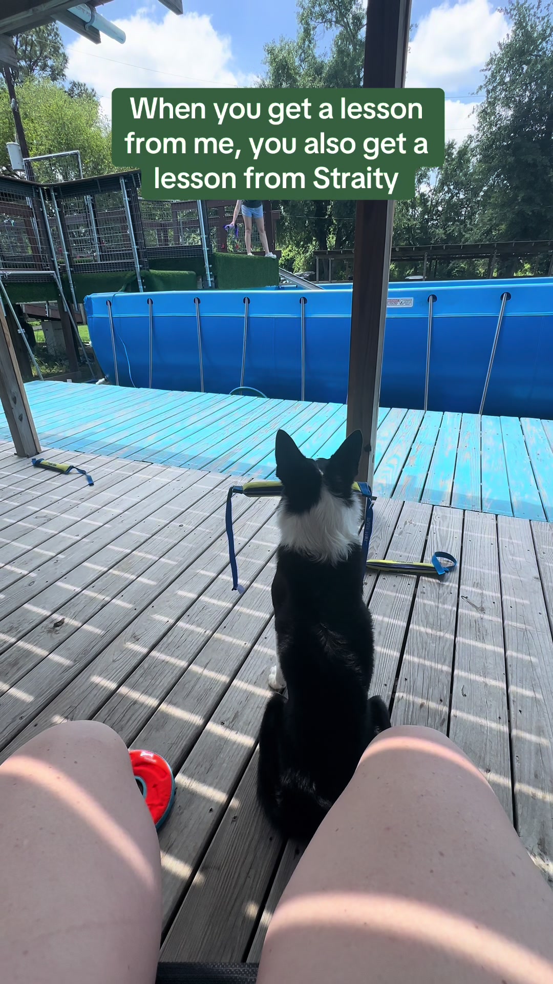 What's in My Goodie Bag? Probably | Lyssaurora (@lyssaurora)