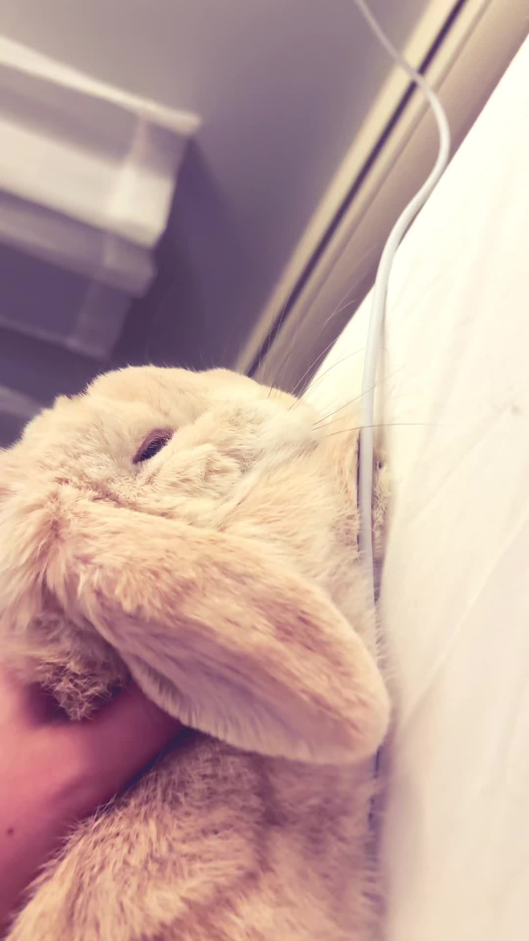 Jess🤍 (@jessgeng) - Urlebird