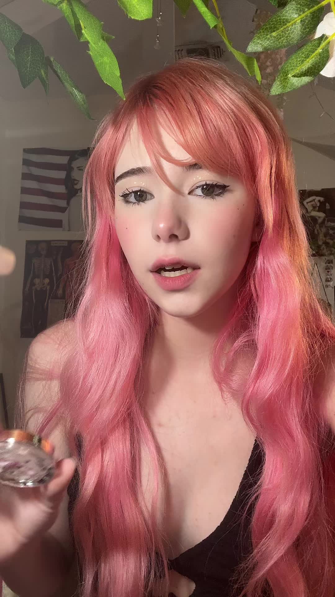 ash🐝 (@ashisbees) - Urlebird