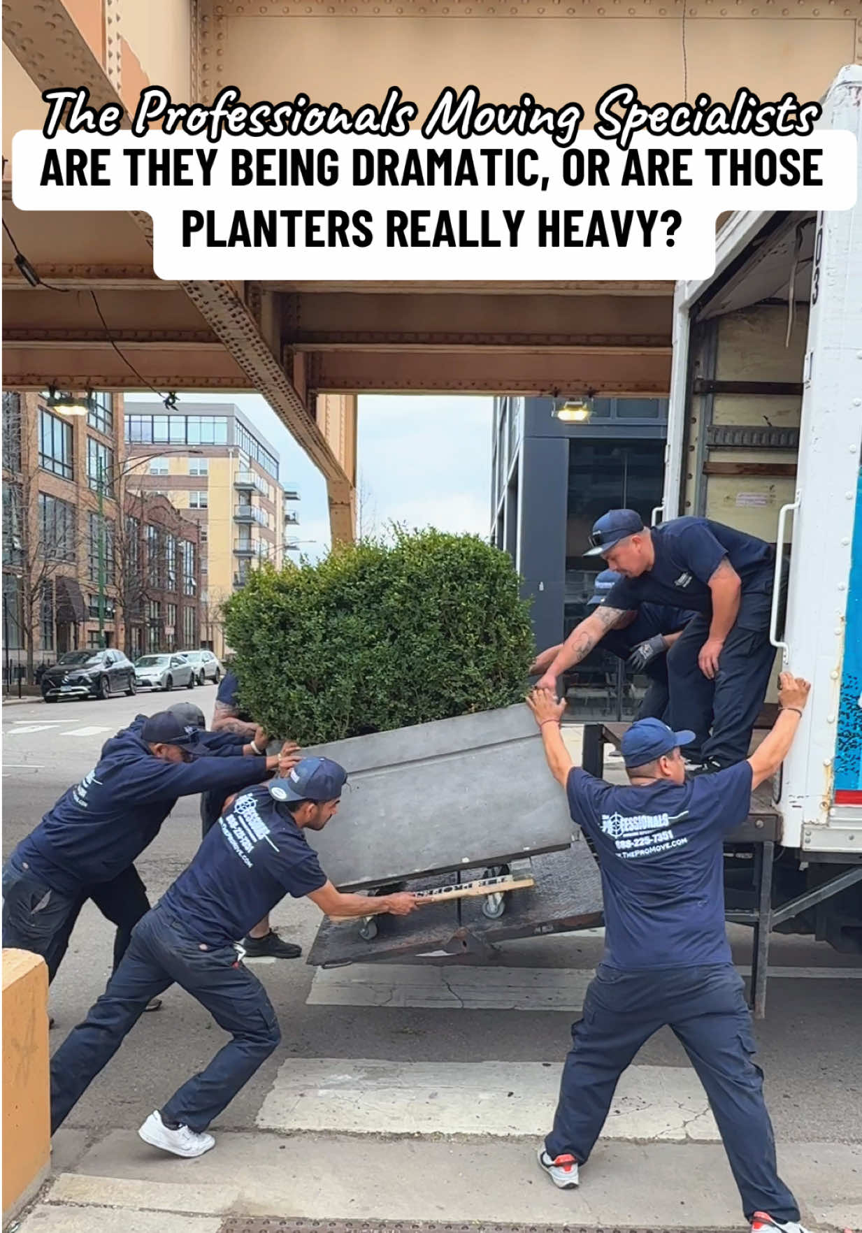 gangu kanda #gangu__chetri #gangu | PMS KANDA (@pms.kanda)