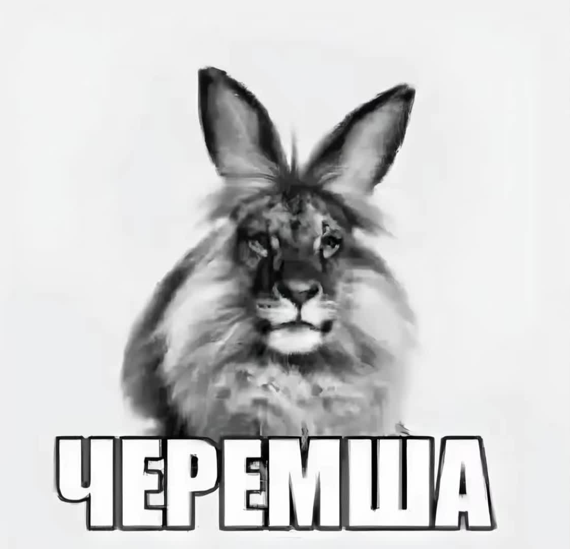 Черемша | C O l d m e n (@coldmen52007732456)