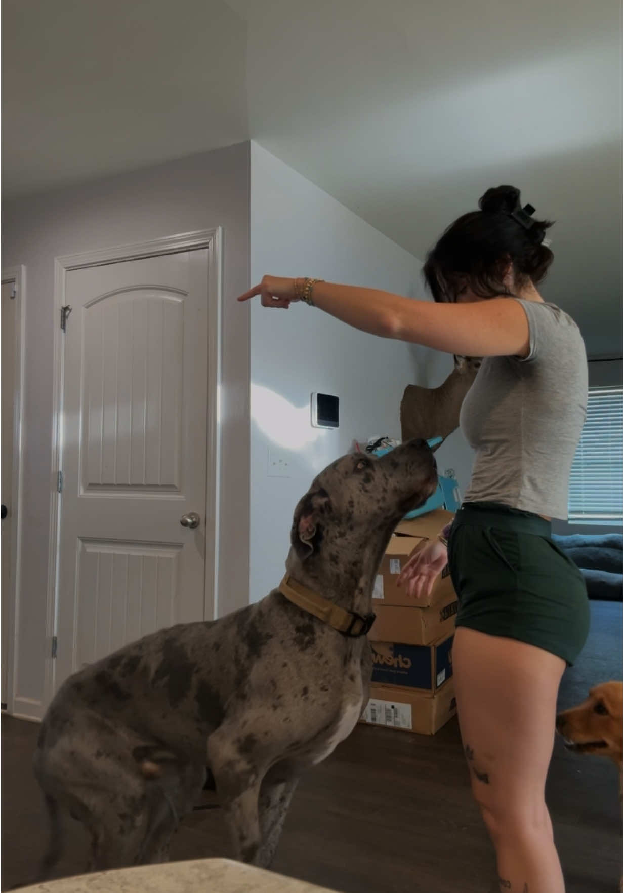 🤍🤍 #foryou #fyp #teacher #school | Salome (@metrevelisalii)