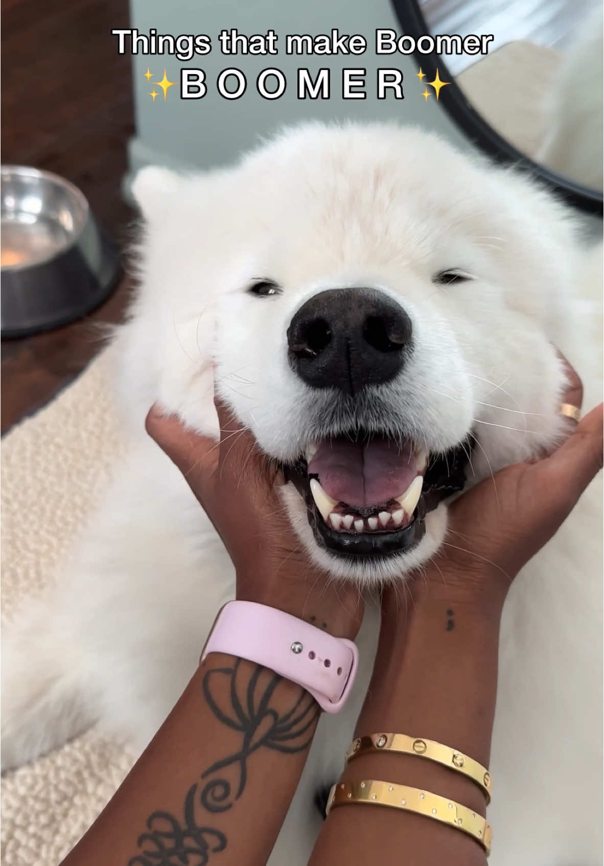 🦄 @life.with.a.landcloud - Charishma + Boomer - TikTok