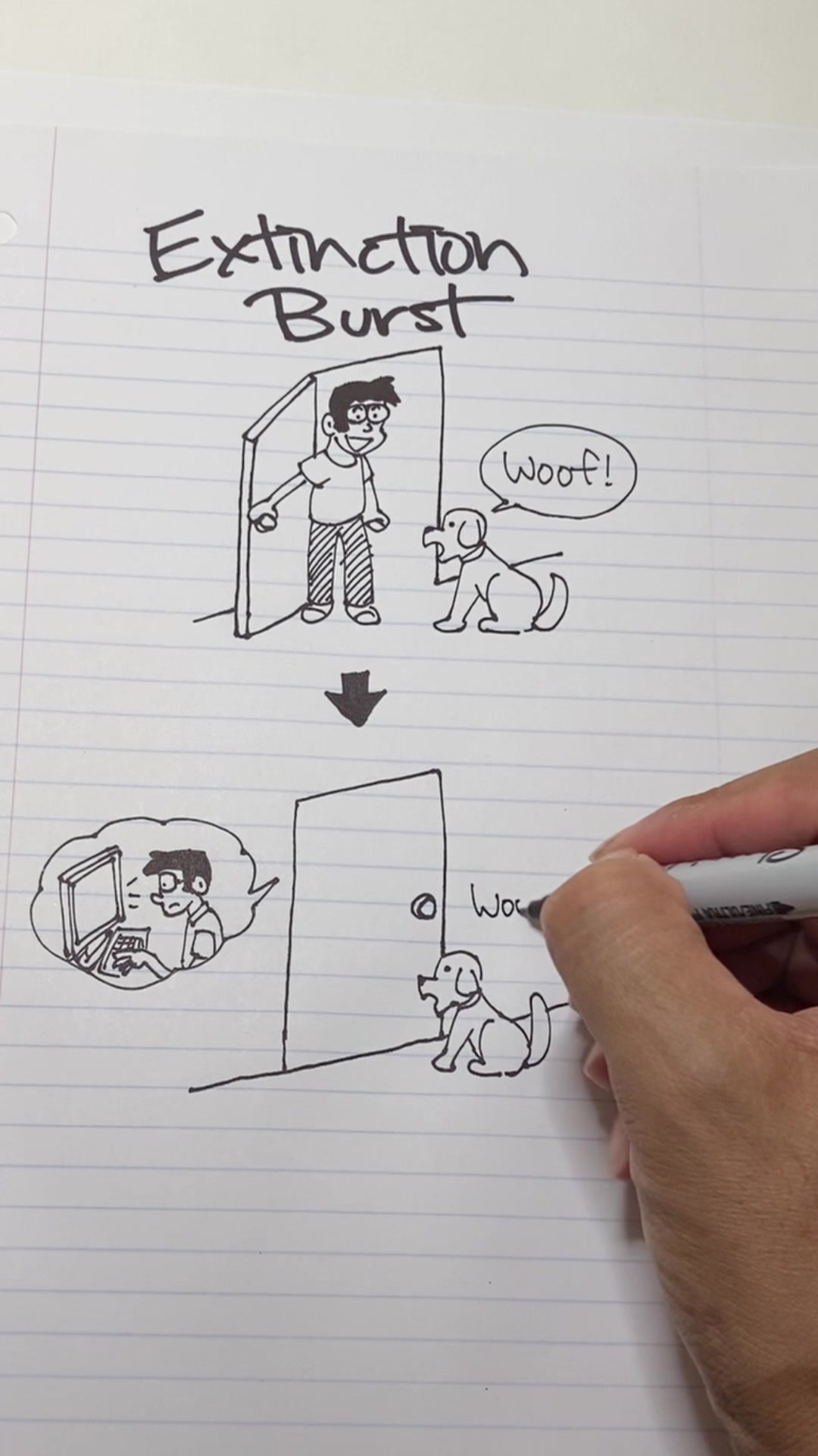 What is extinction burst? Learn complex | ABA VISUAL LANGUAGE (@aba ...