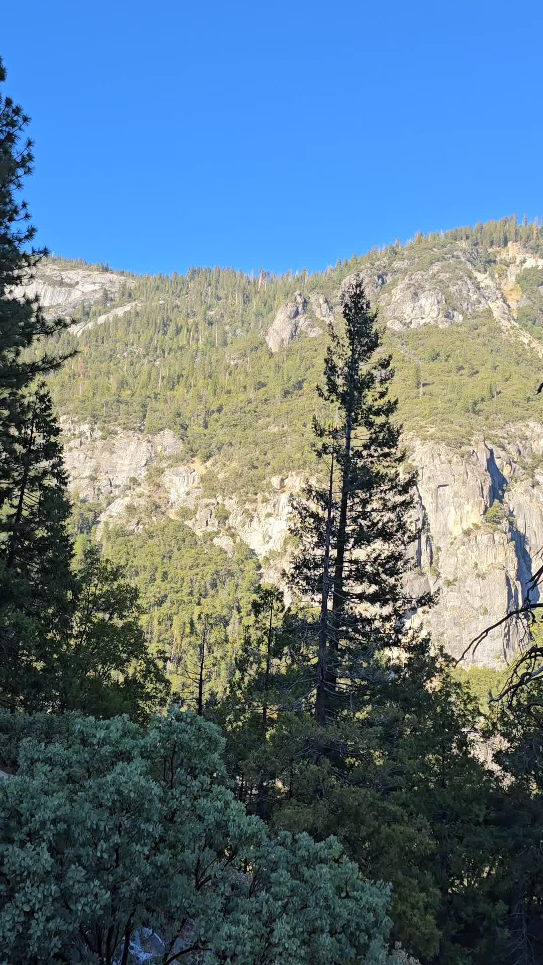 Nykolas Lopez (@nykolas.lopez) - Urlebird