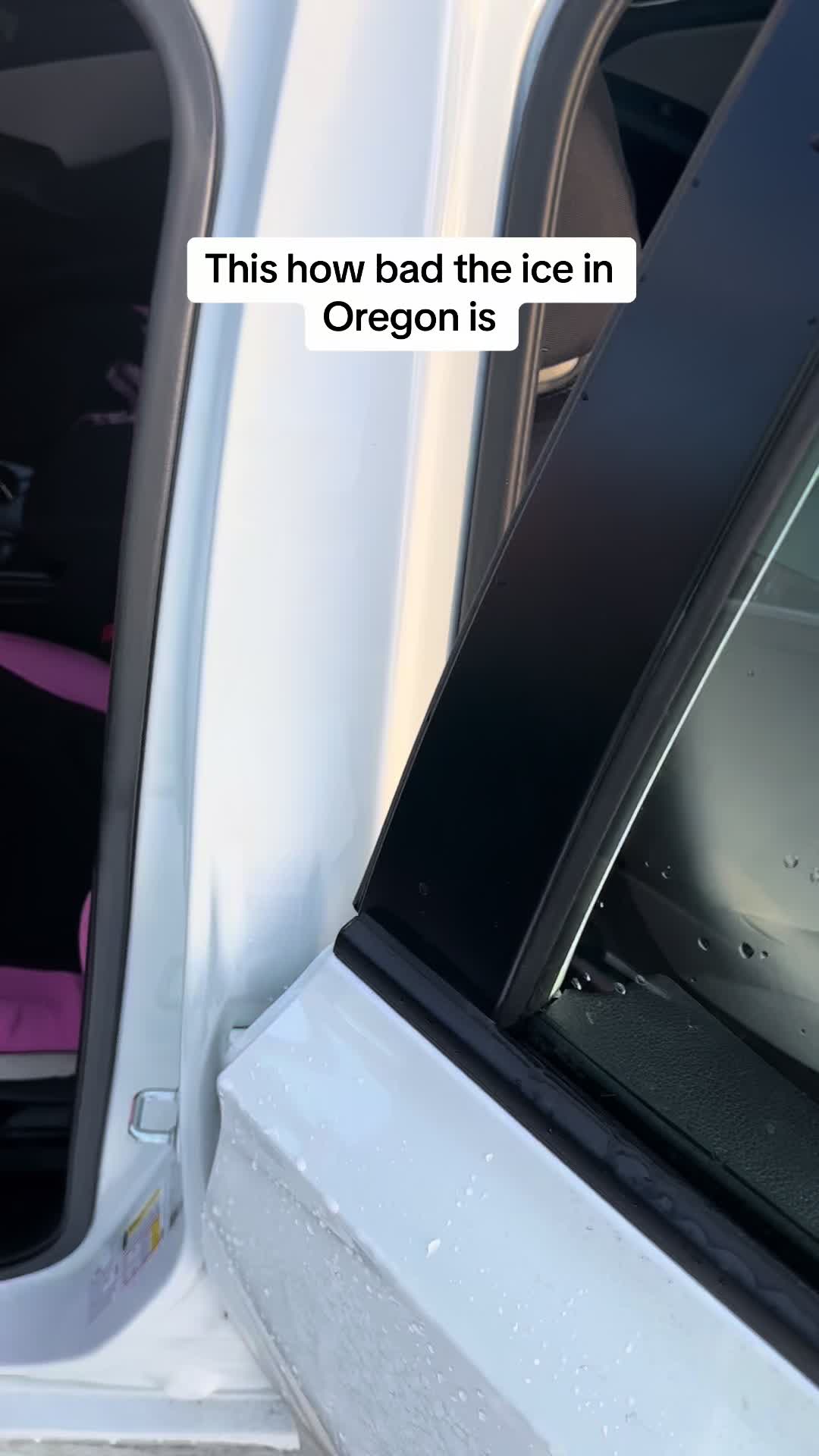 Lexi Rae (@lexirrae) - Urlebird