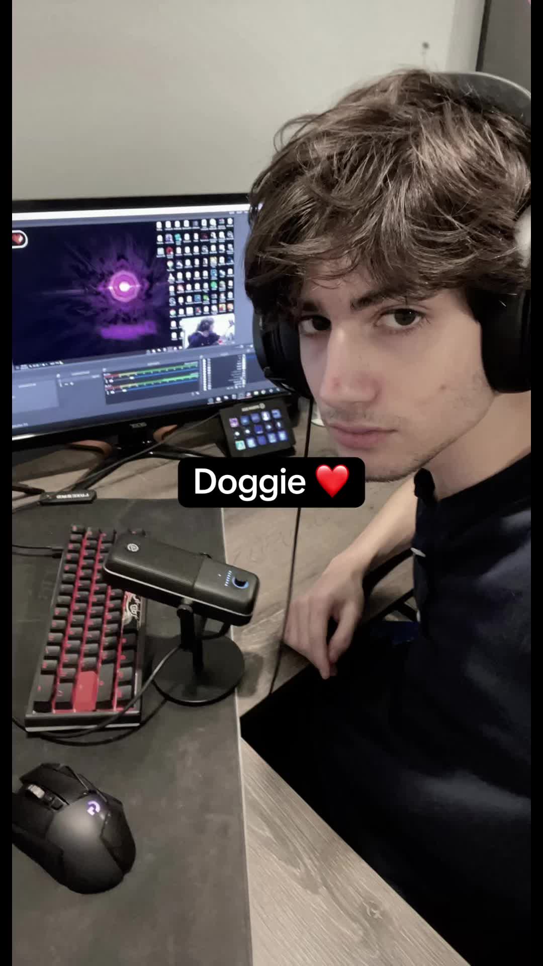 Doggie (@doggiegd) - Urlebird