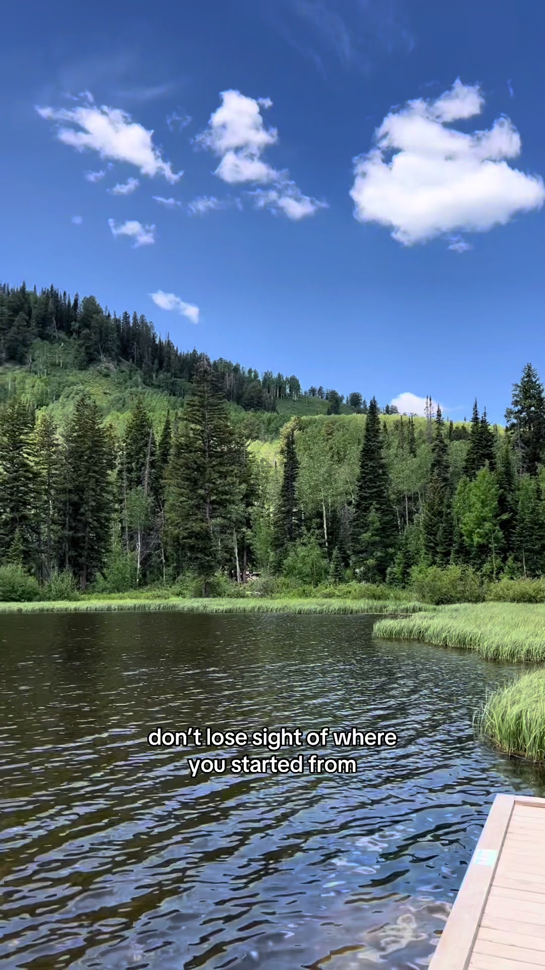 mimi jones (@mccandliss182) - Urlebird