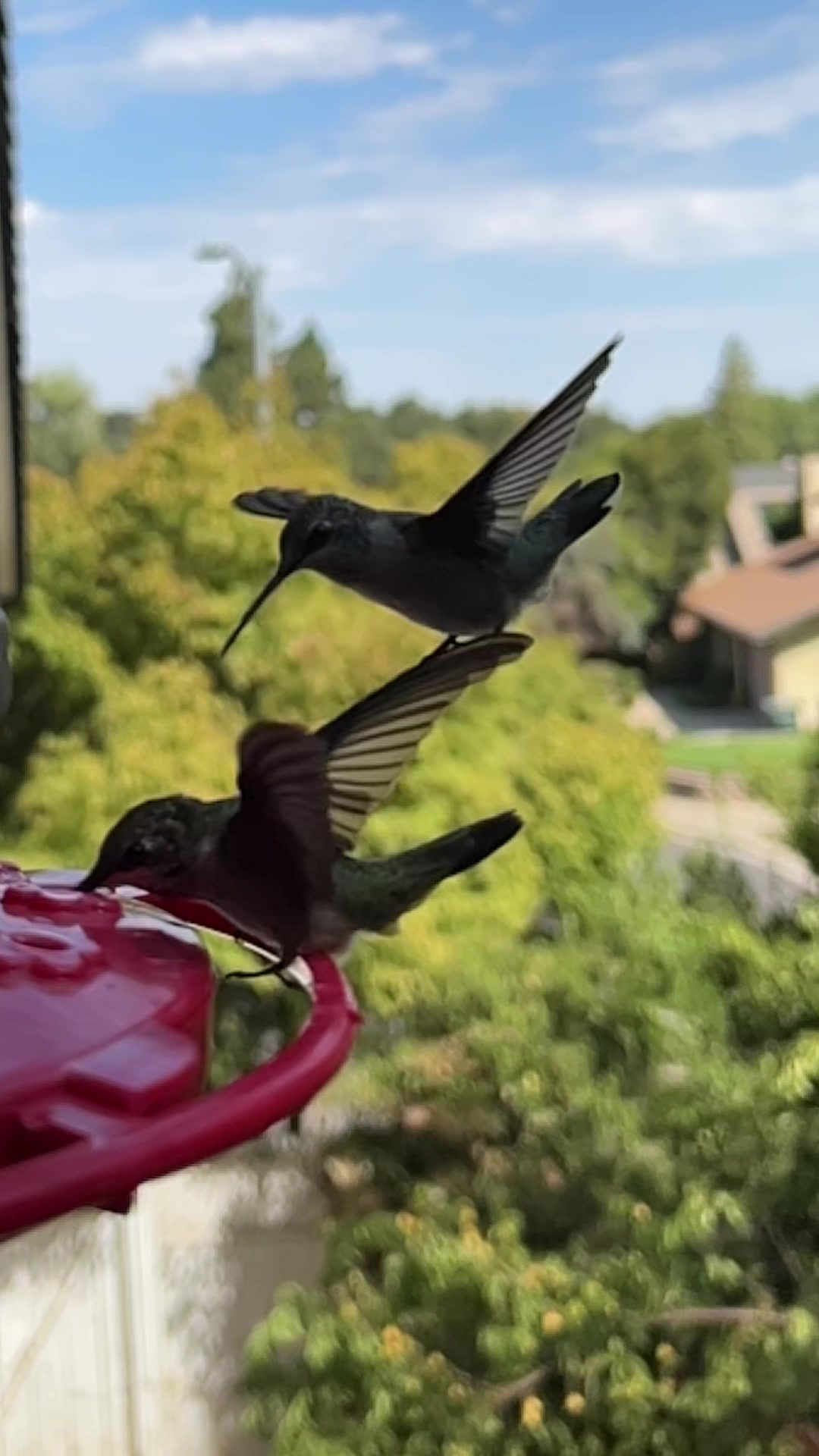 Content Creatorin der anderen Art | Linda Lanu (@linda.lanu)