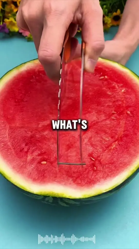 tyujkl (@tyujkl4) - Urlebird