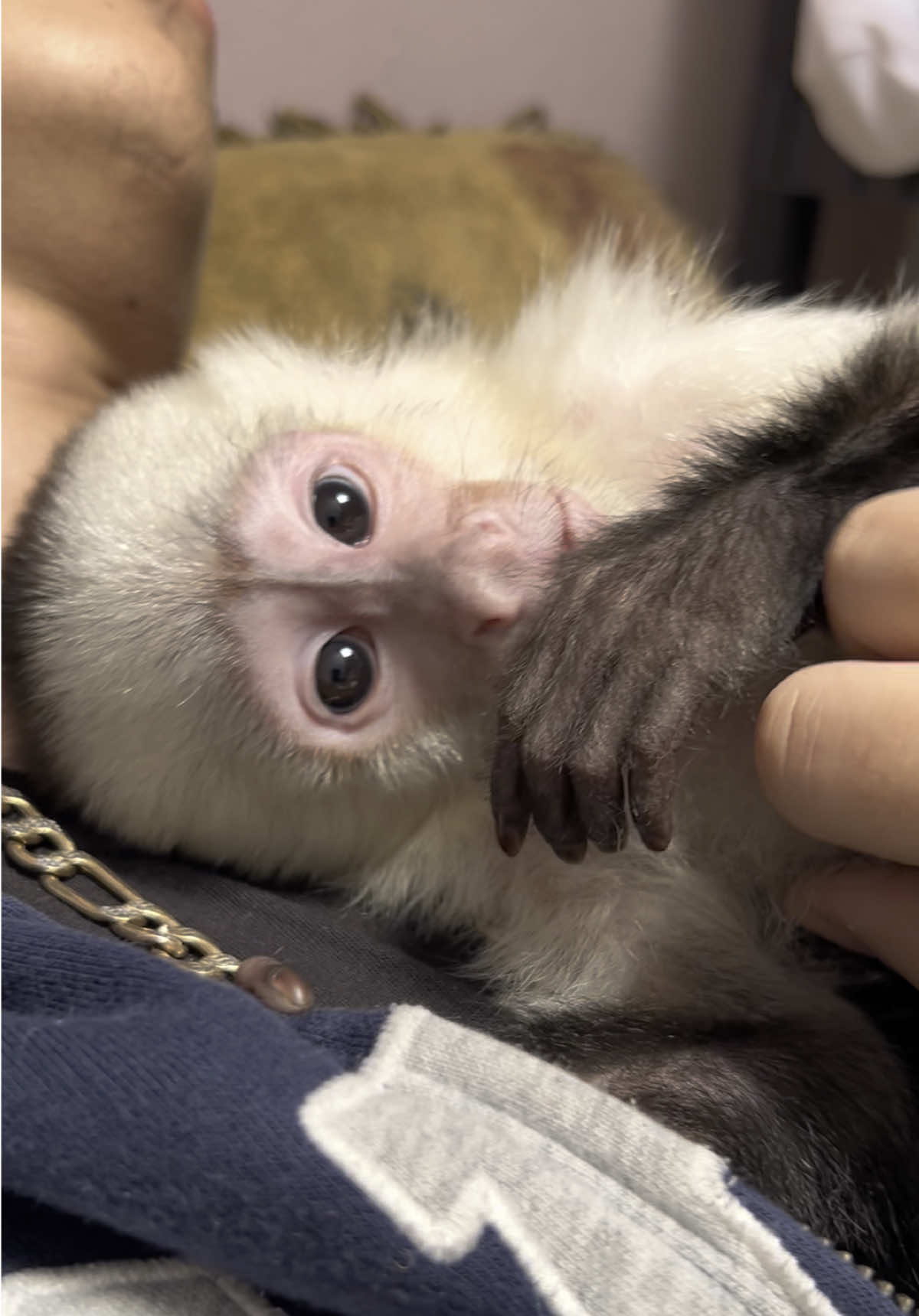 Baby.Suni (@baby.suniii) - Urlebird