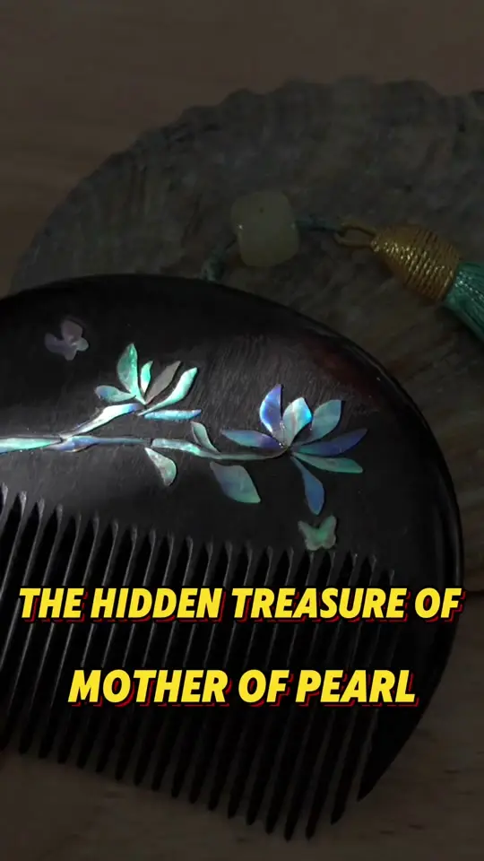 Do You Believe that the Abalone Shell | Miwu Science (@miwuscience)