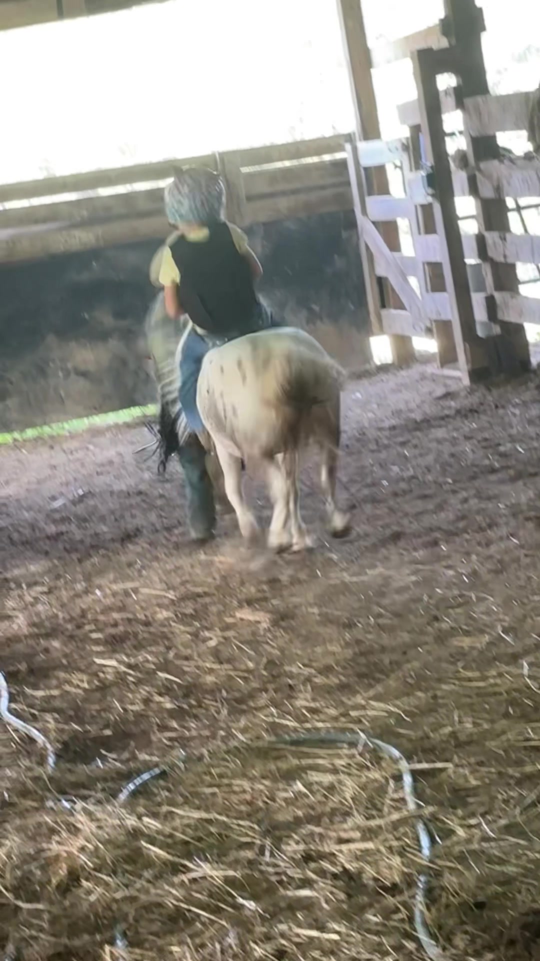 Mchongoano battle 3 .|Bob kichwangumu | Animation PGC (@animationpgc)