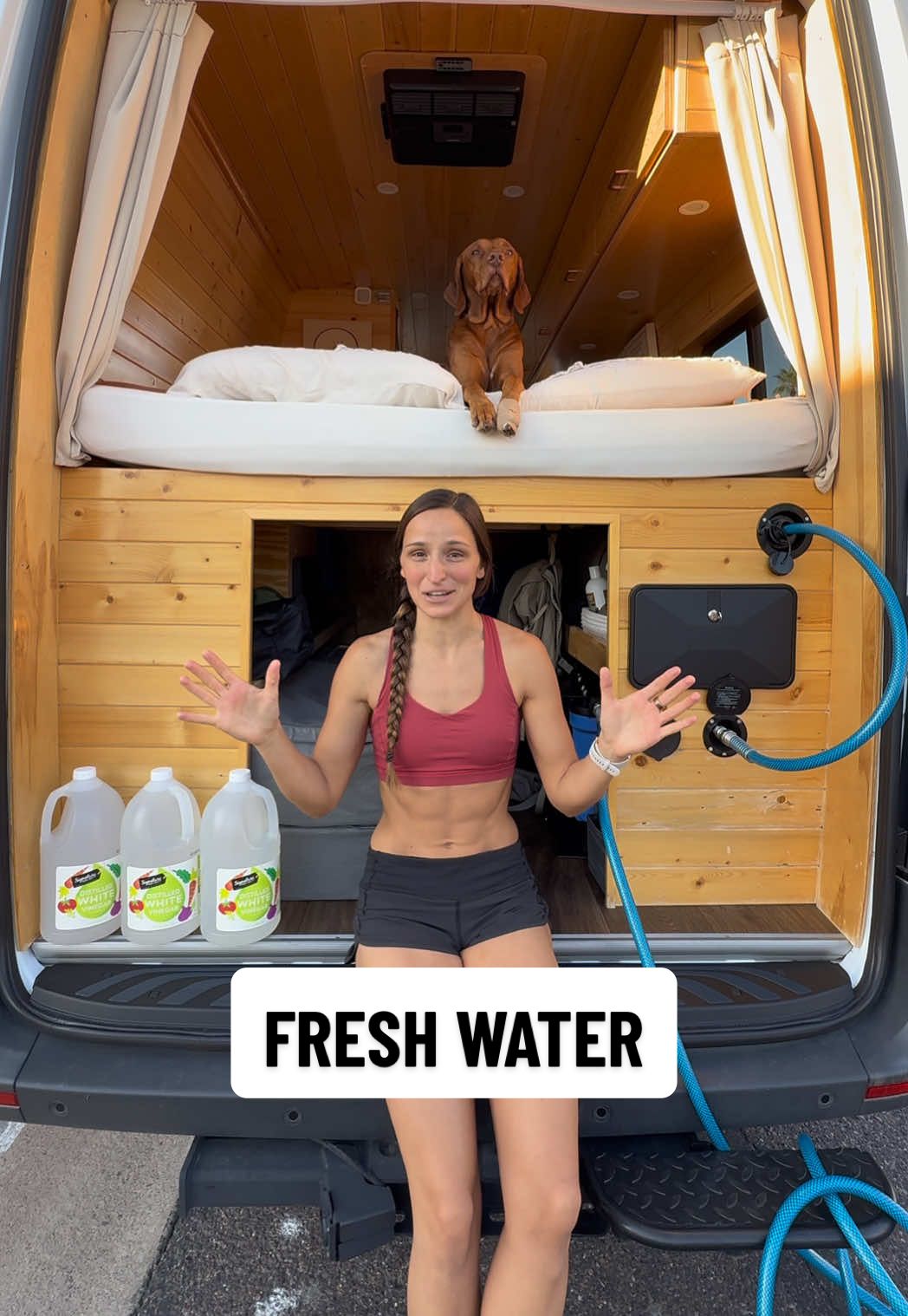 Sarah Foss (@sarahhfoss) - Urlebird