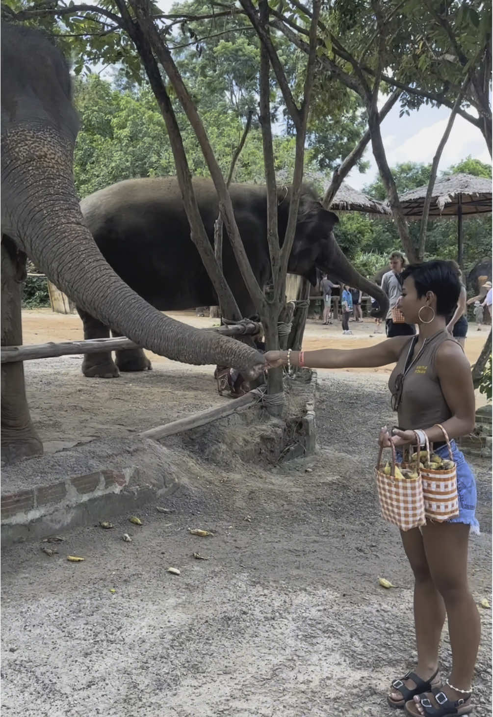 Pretty Pafan (@prettypafan) - Urlebird